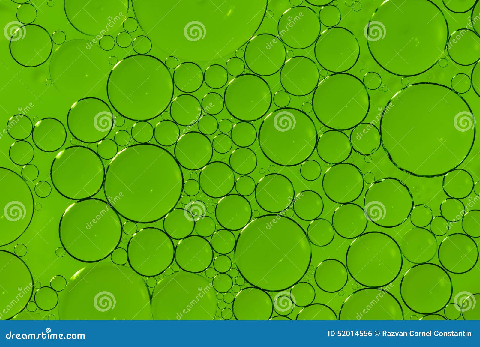 Green bubbles texture stock photo. Image of texture, closeup - 52014556
