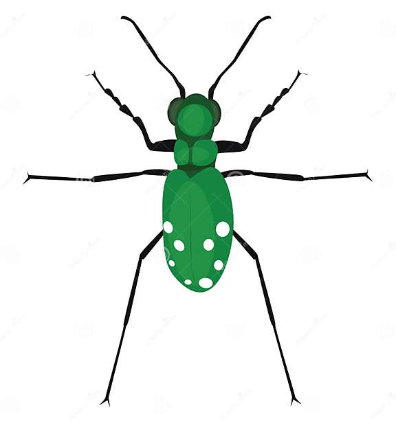 Green bug, icon stock vector. Illustration of isolated - 261379127
