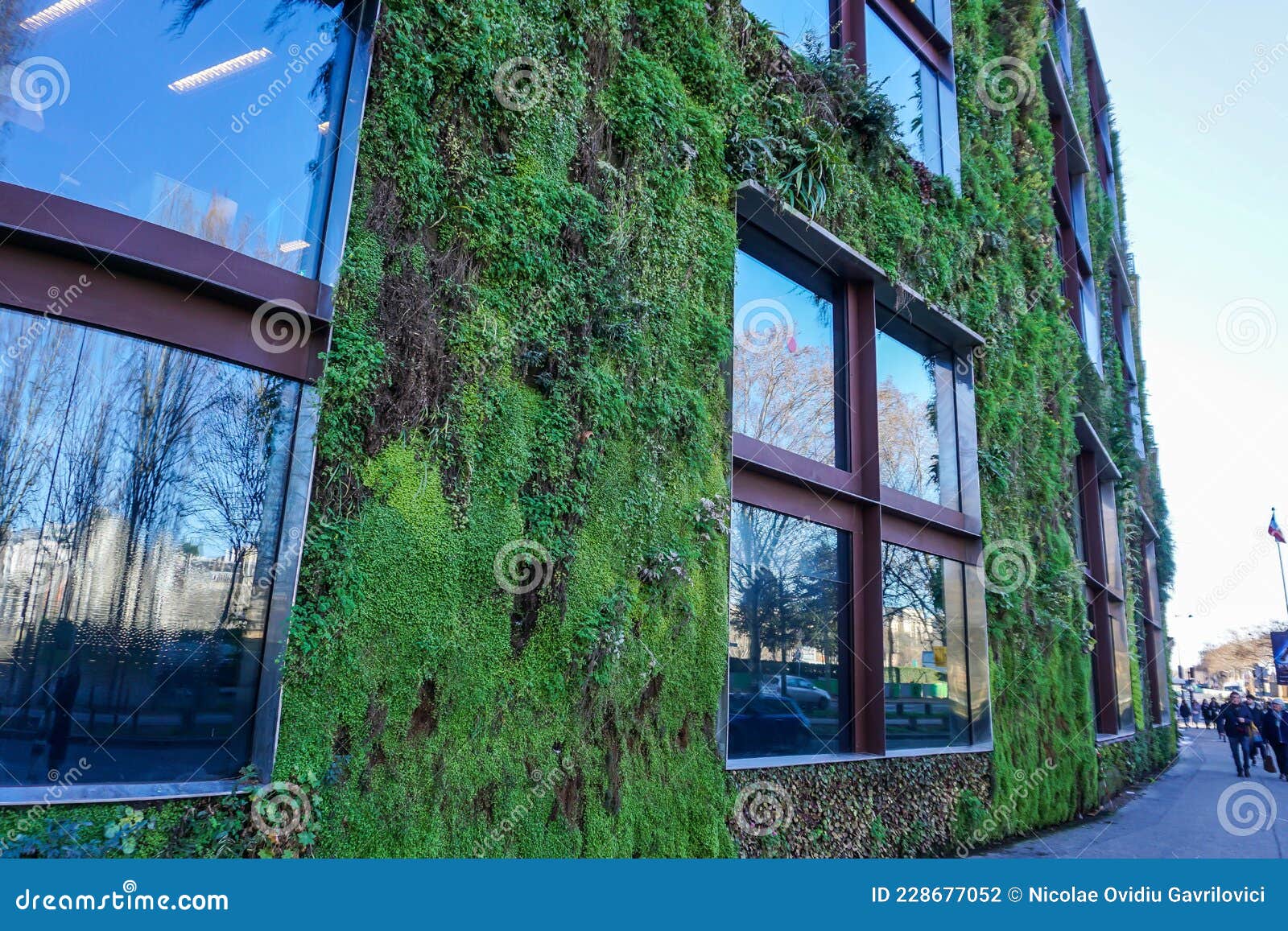 Green Building Covered with Moss in the City Stock Photo - Image of ...