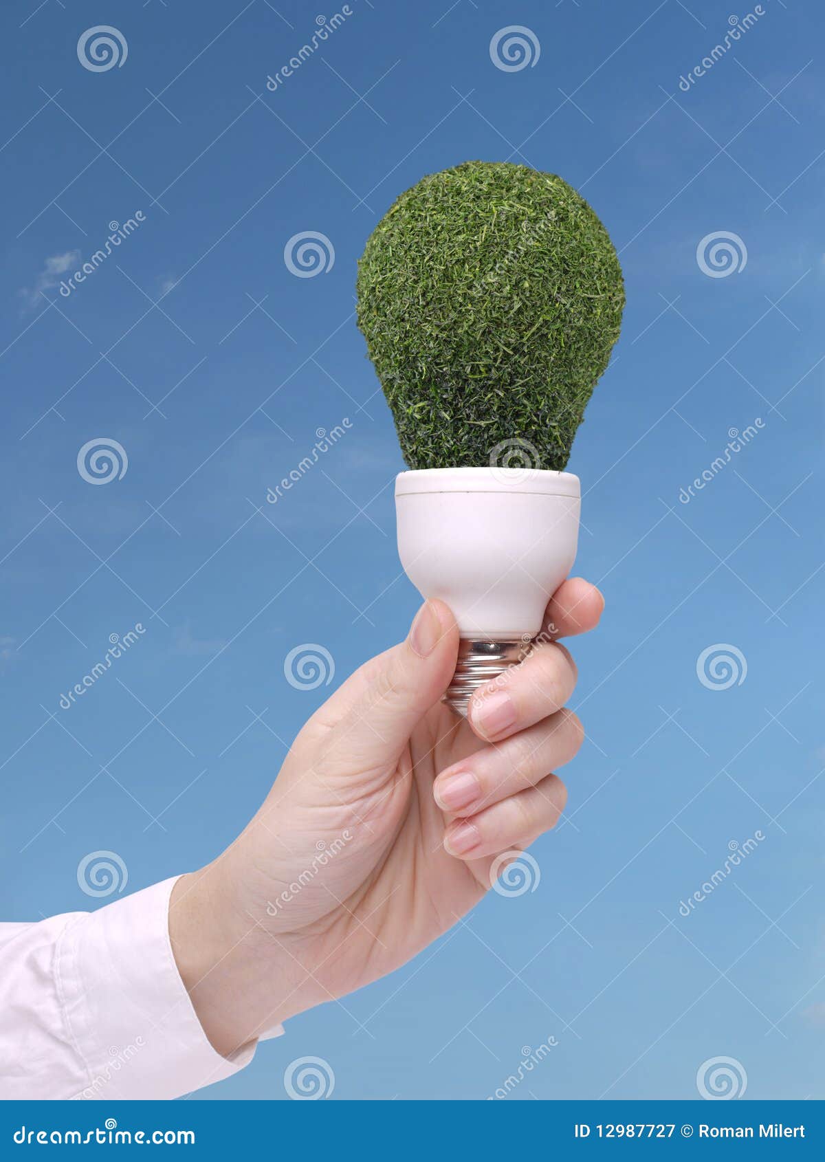 Green bulb stock image. Image of holding, conservation - 12987727