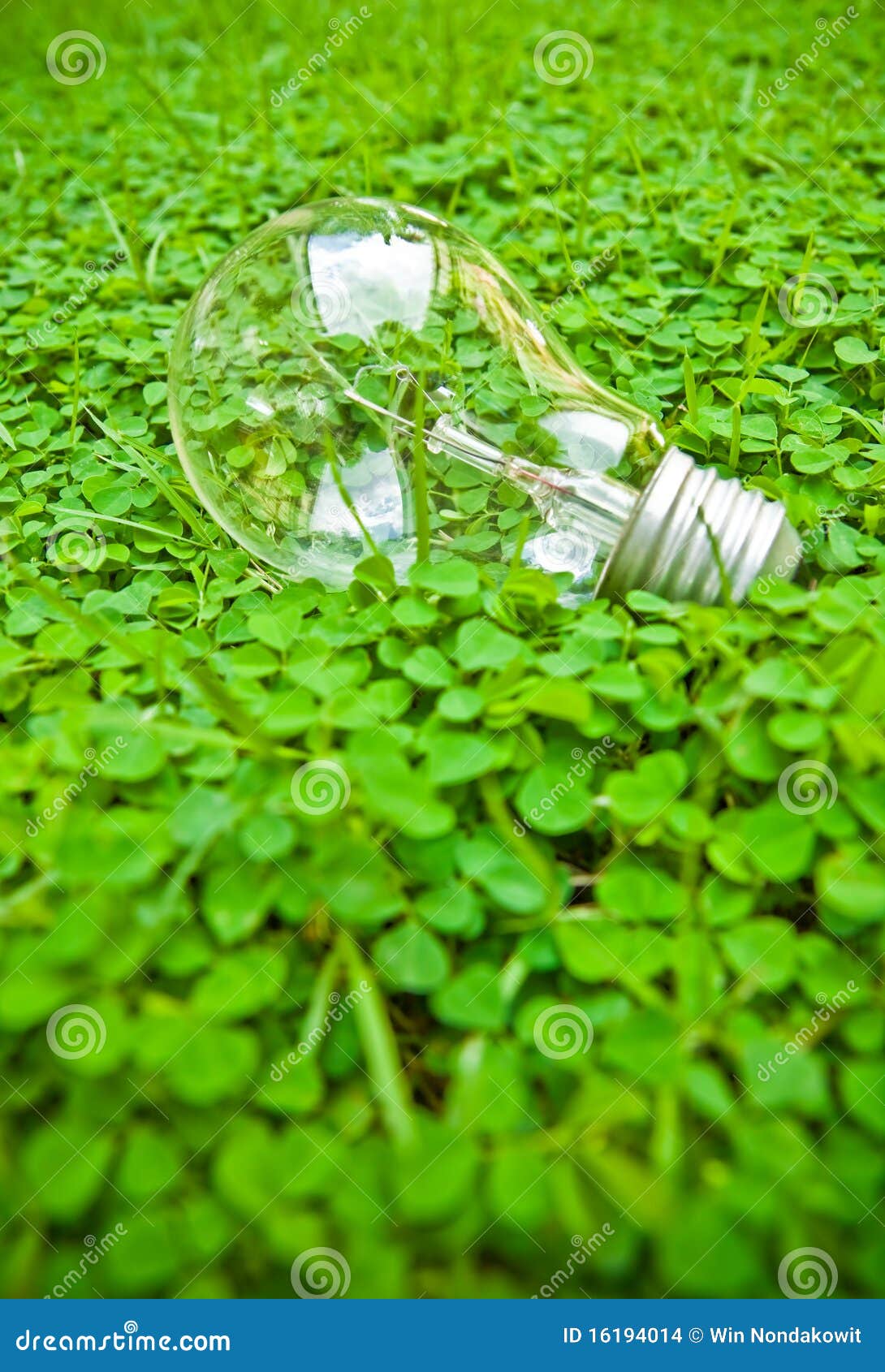 Green bulb stock photo. Image of environmental, illuminated - 16194014