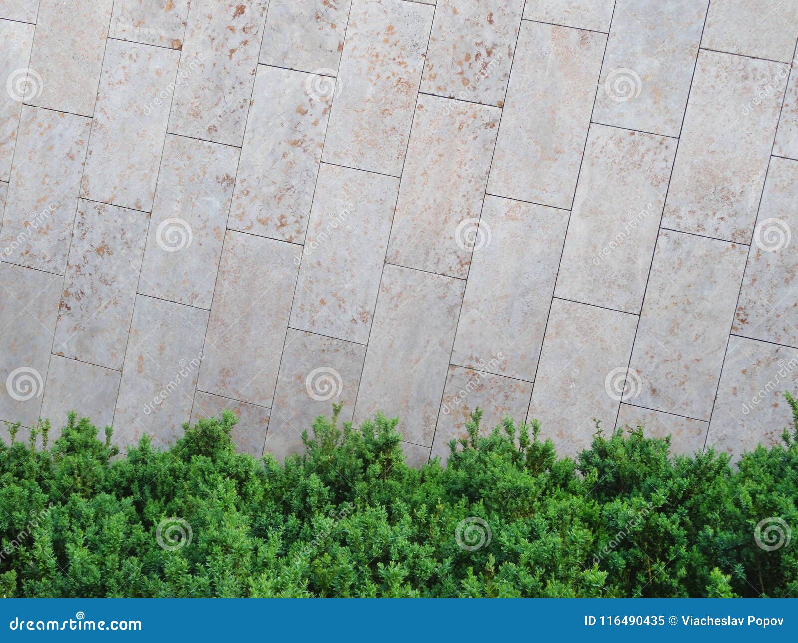 Green Bush in front wall stock image. Image of landscape - 116490435