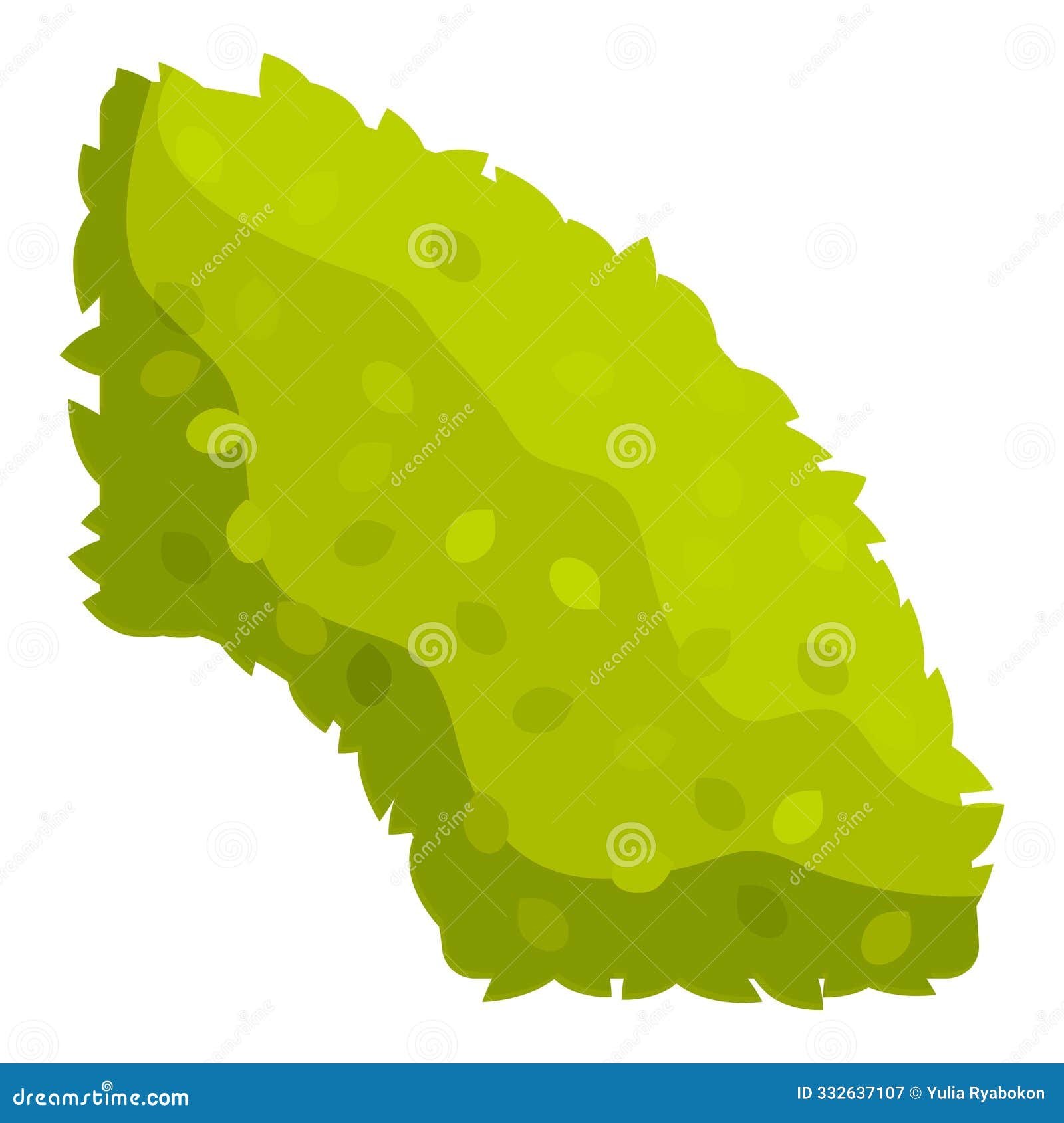 Green Bush Growing with Leaves Forming a Triangle Shape Stock ...