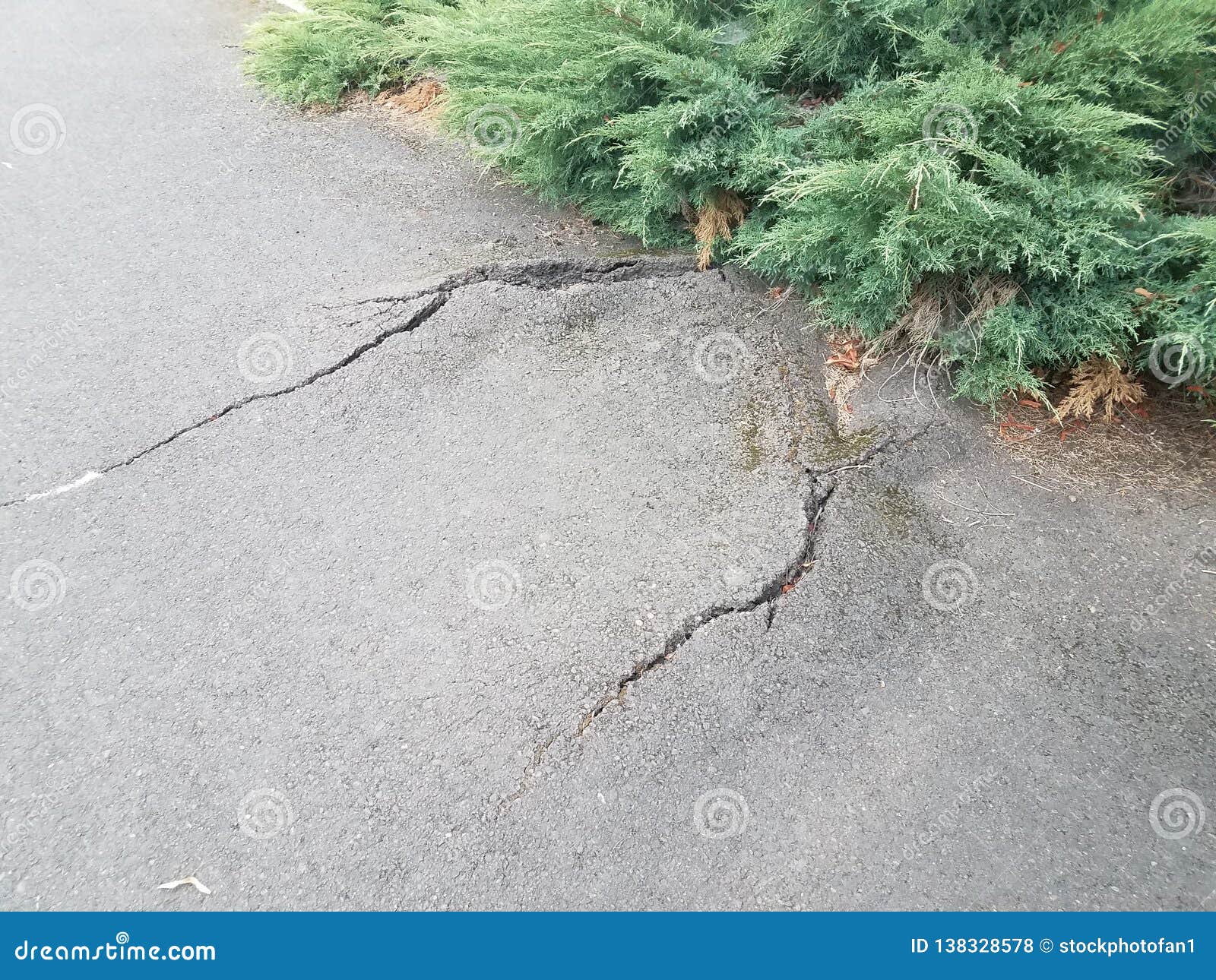 Roots Damaged By Nematodes Stock Photography | CartoonDealer.com #43107500
