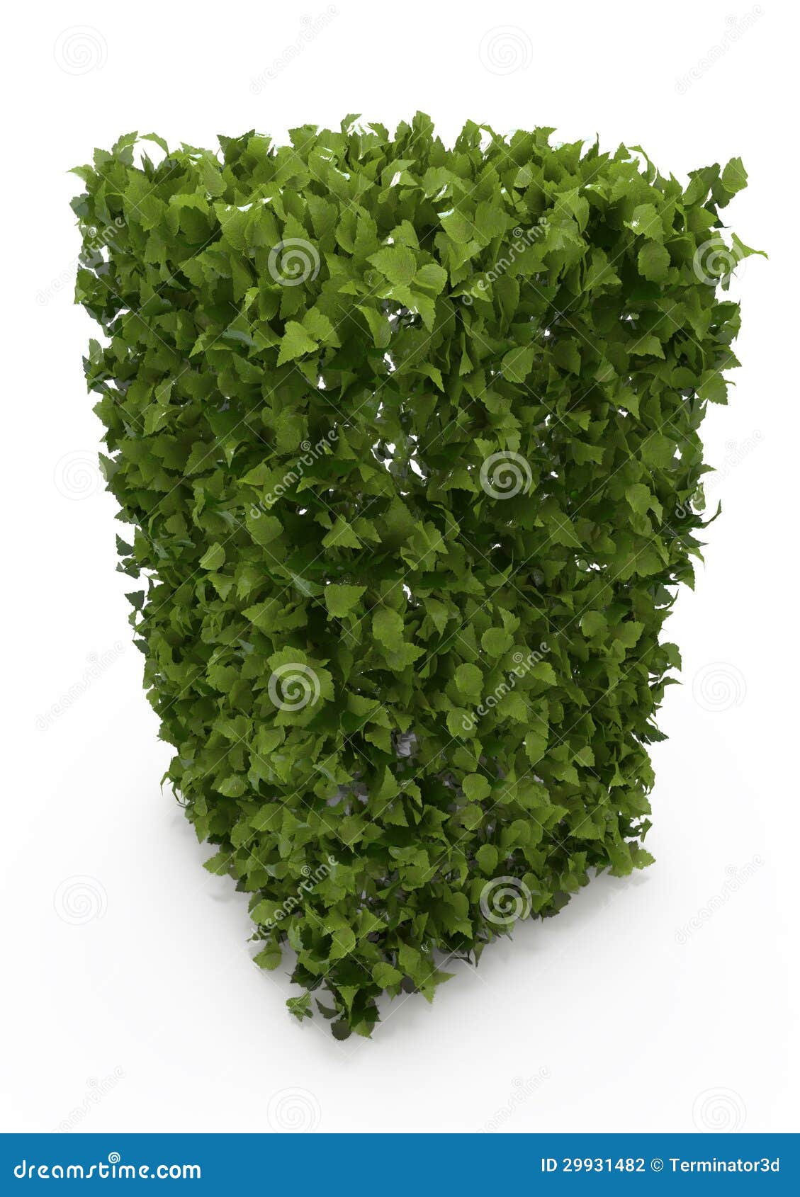 Green Bush. Seamless Texture. Stock Photography | CartoonDealer.com ...