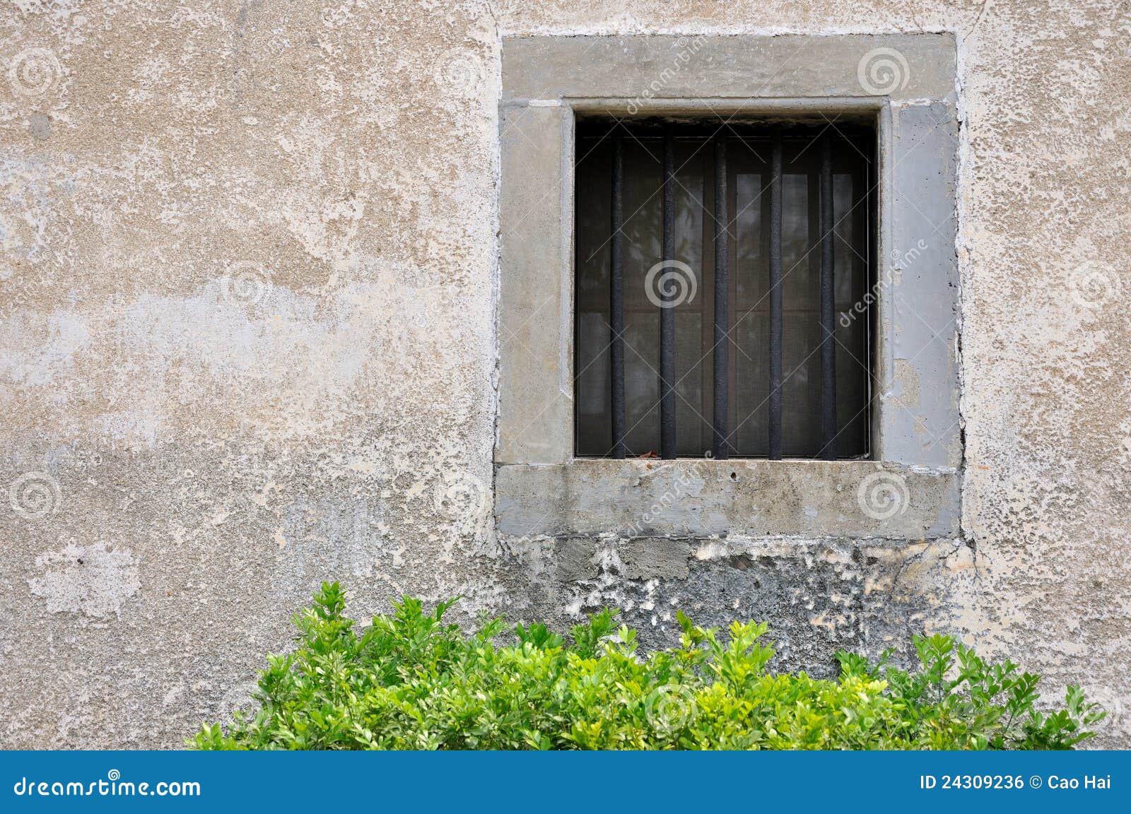 Green Bush Under Window of Aged House Stock Photo - Image of plant ...