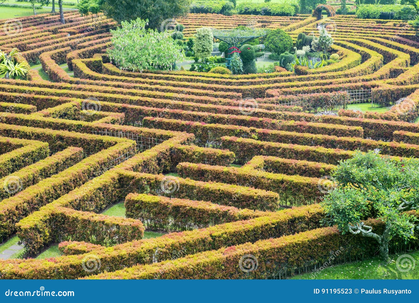 Green bushes labyrinth stock image. Image of hedges, plantation - 91195523
