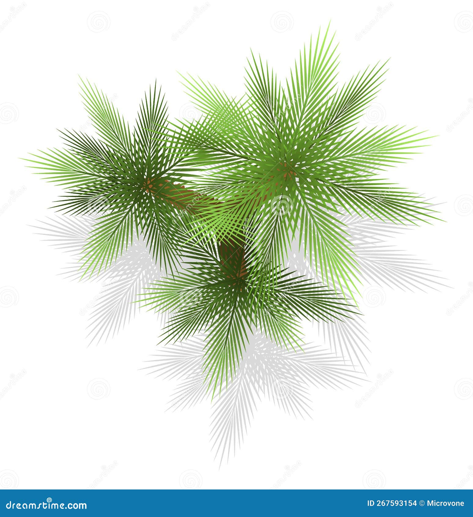 Green Bushes for Landscape Plan. Plants Top View Stock Photo - Image of ...