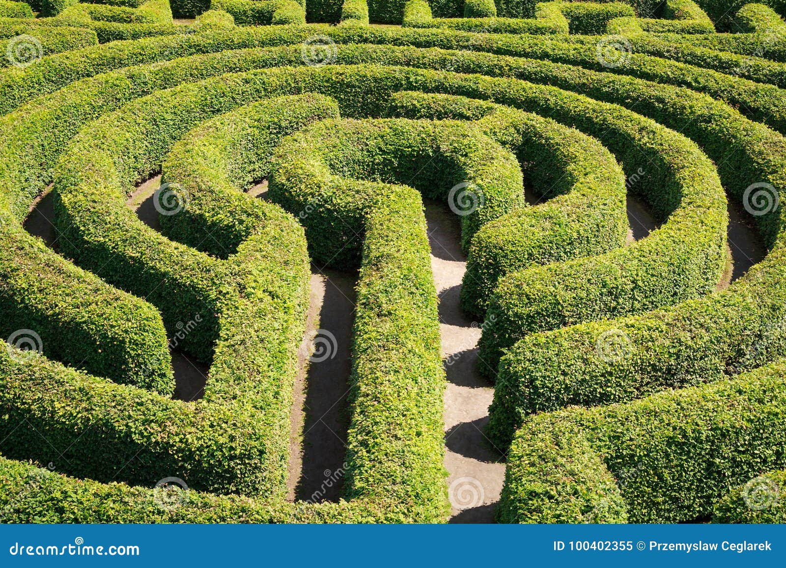 Green Bushes Maze Royalty-Free Stock Photography | CartoonDealer.com ...