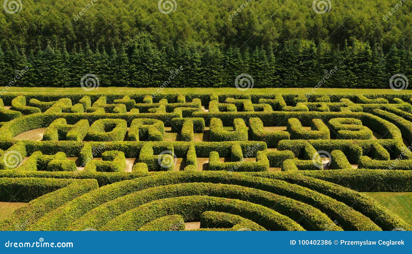 Green bushes maze stock photo. Image of labyrinth, plant - 100402386