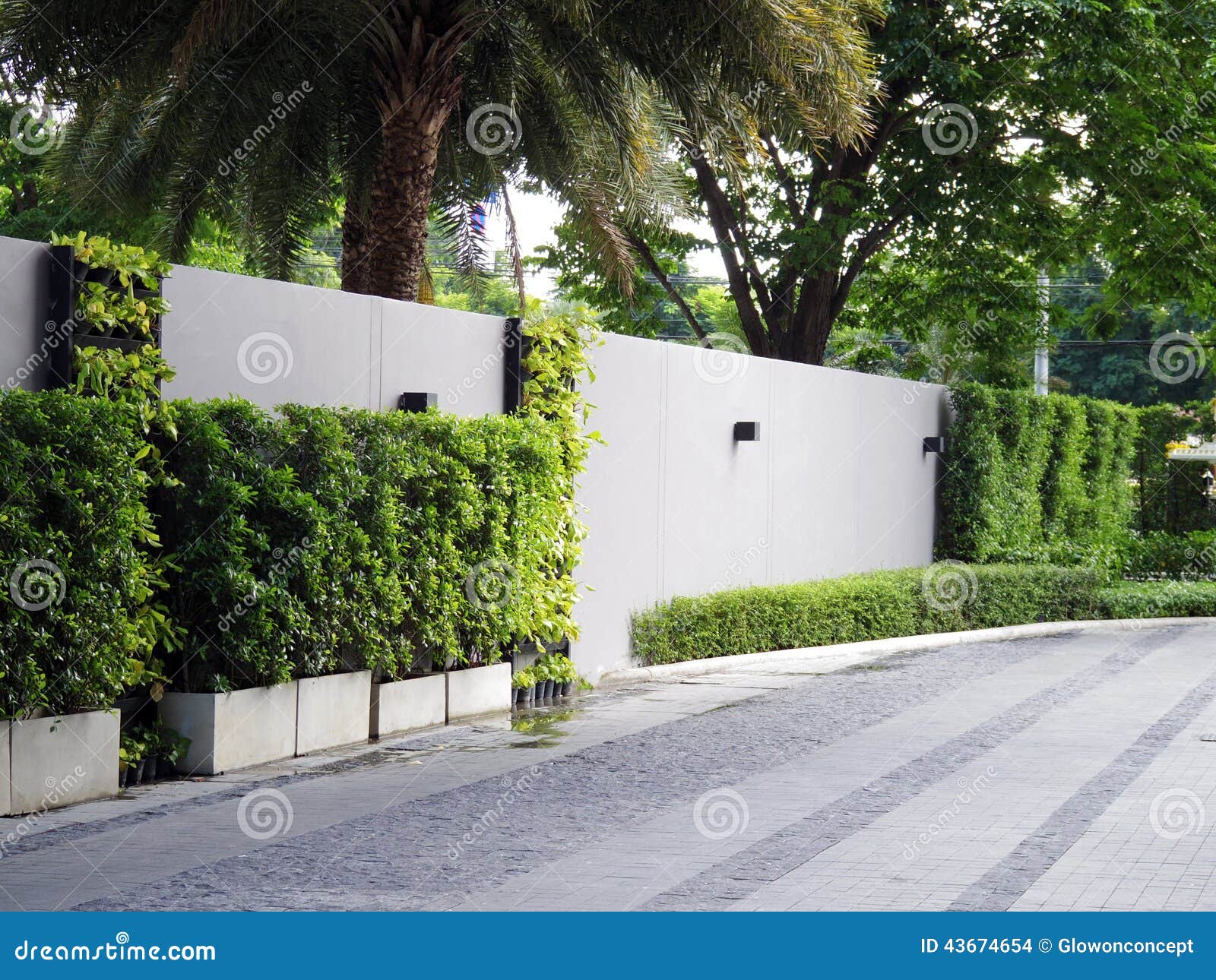 Green bushes wall stock photo. Image of leaf, stone, fence - 43674654