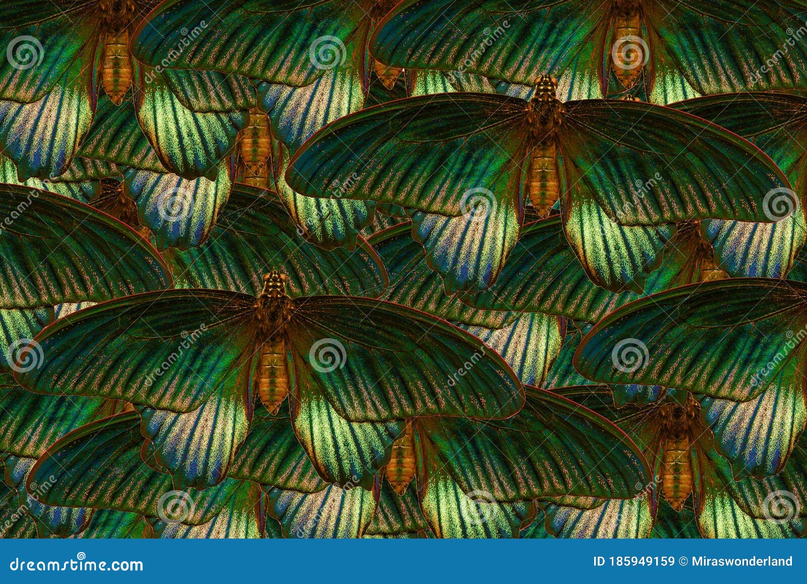 Green Butterfly Pattern in a Full Frame Image Stock Image - Image of ...