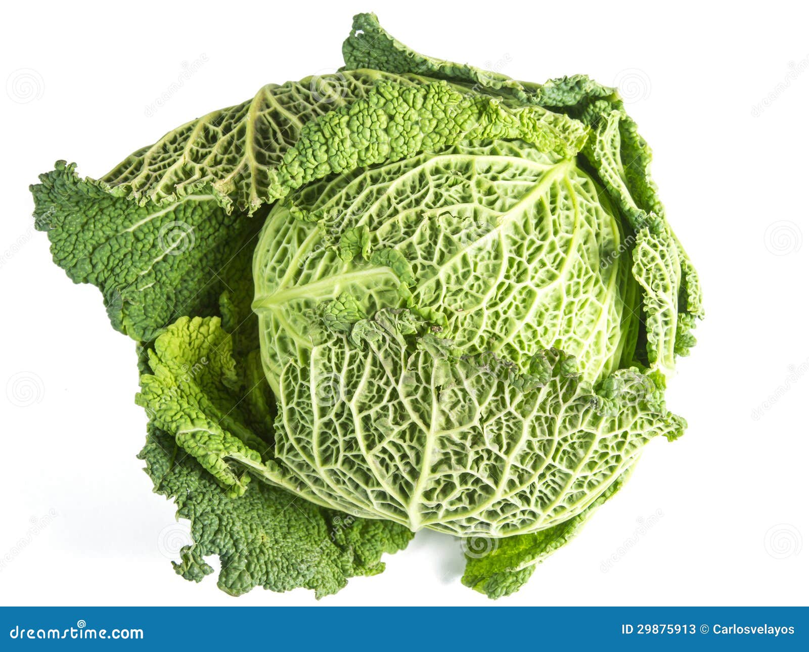 Cabagge Isolated on White stock image. Image of vegetarian - 29875913