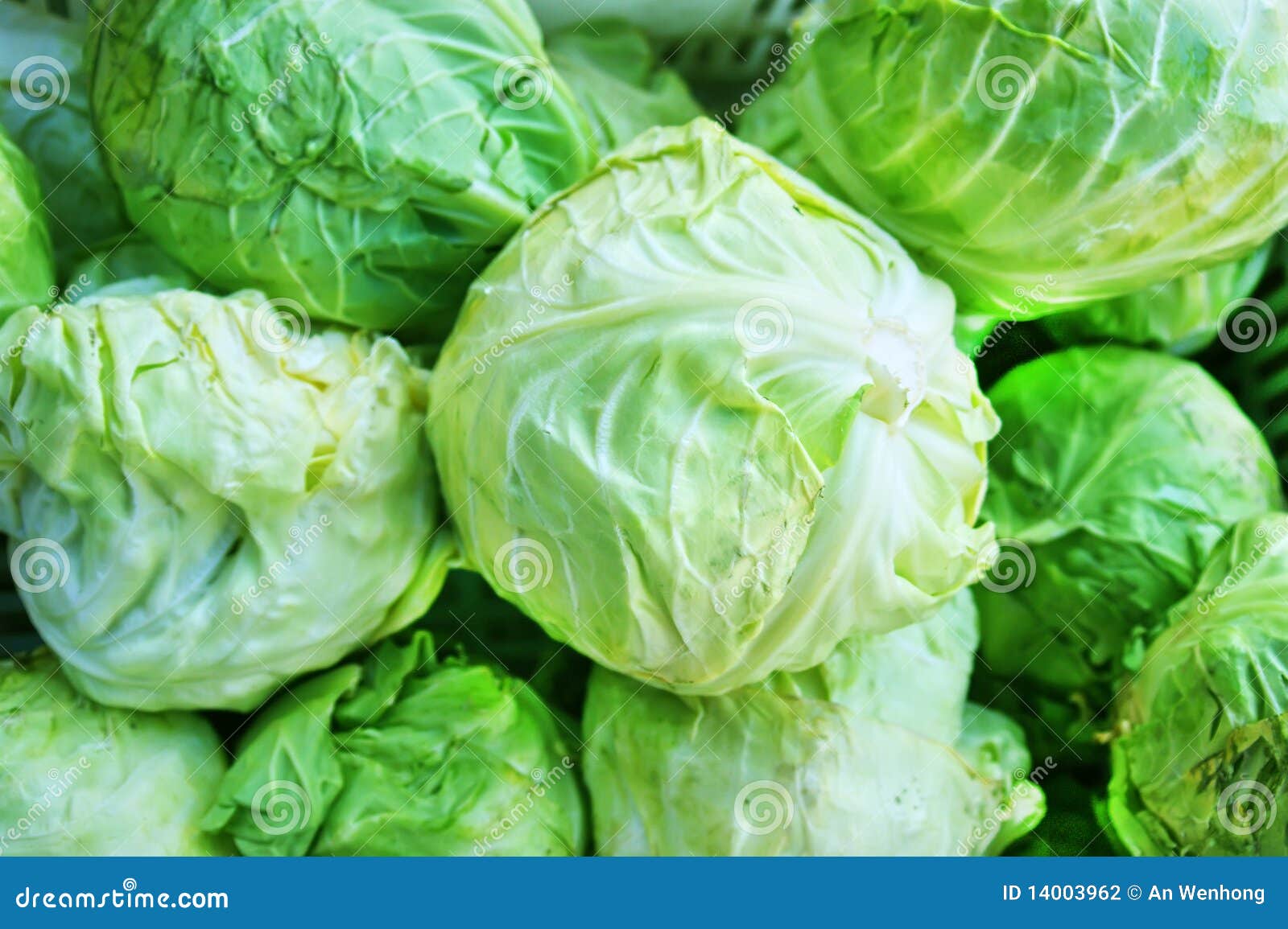 Green cabbage stock photo. Image of retail, patterns - 14003962