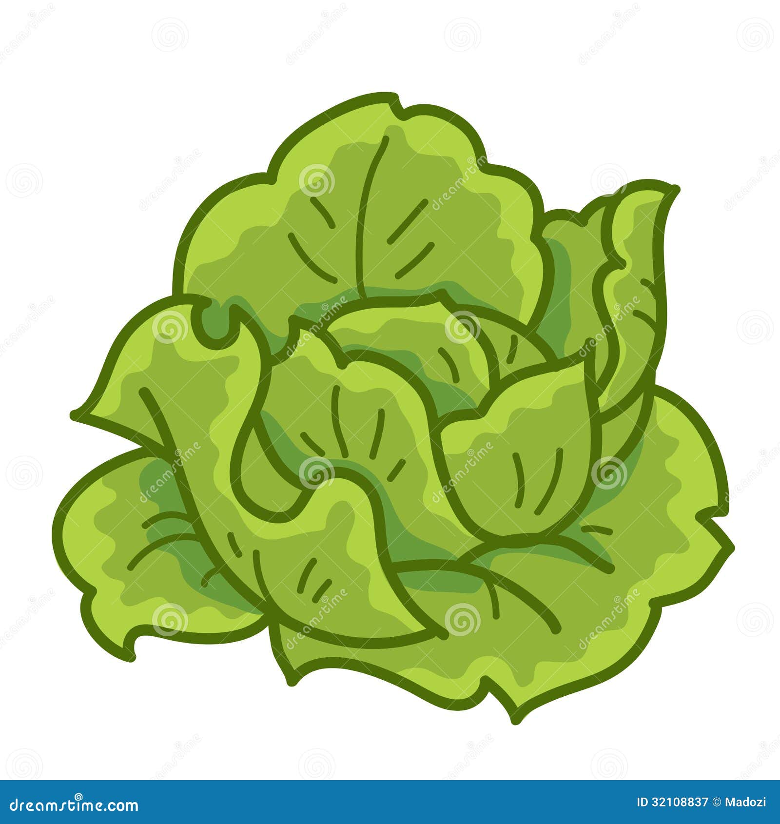 Green Cabbage. Cute Character. Colorful Vector Illustration. Cartoon ...