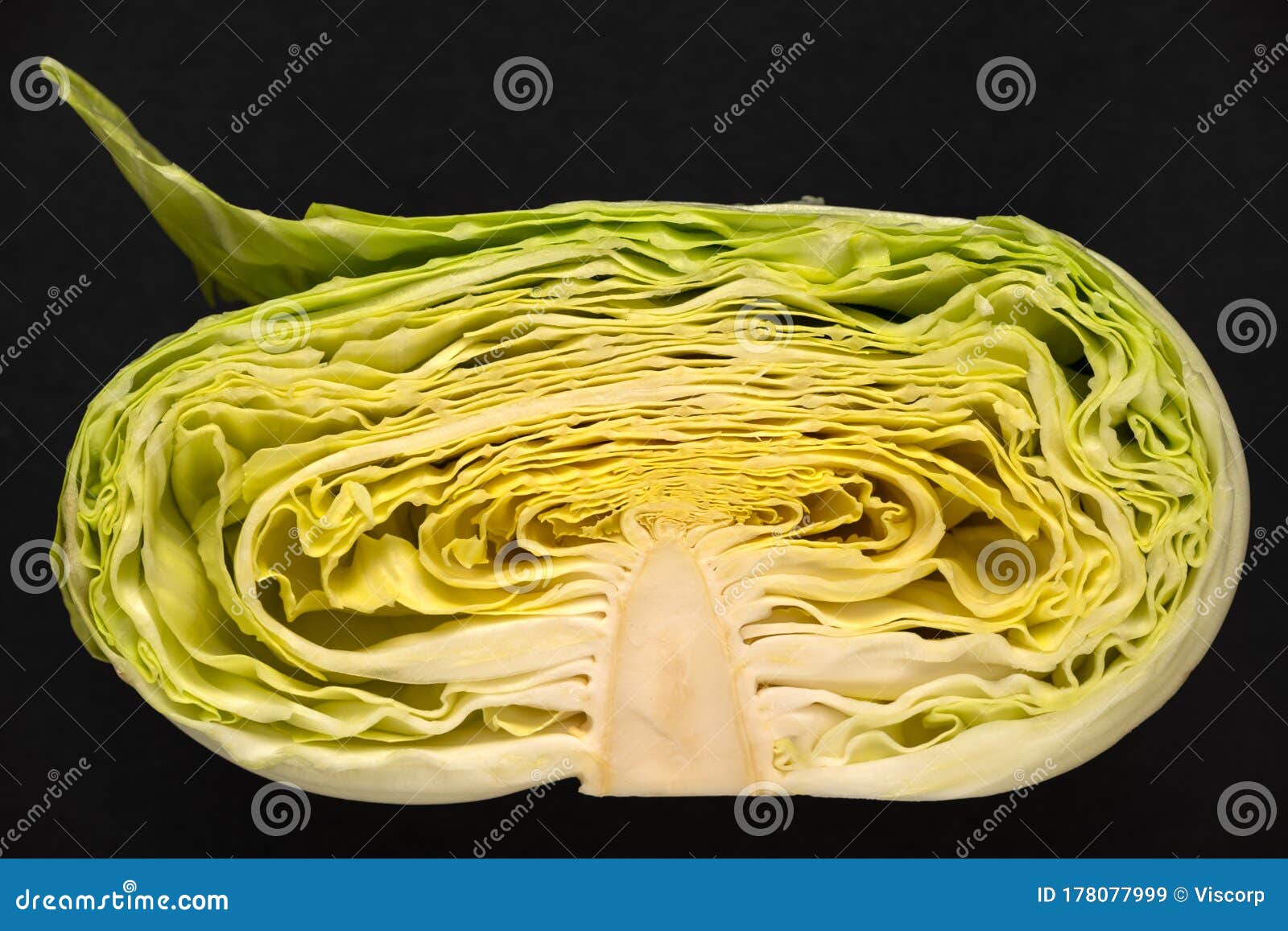 Green Cabbage in Cross Section Stock Image - Image of closeup, black ...