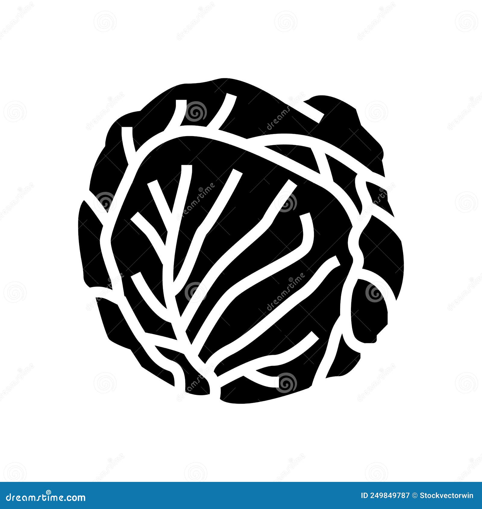 Green Cabbage Glyph Icon Vector Illustration Stock Vector ...