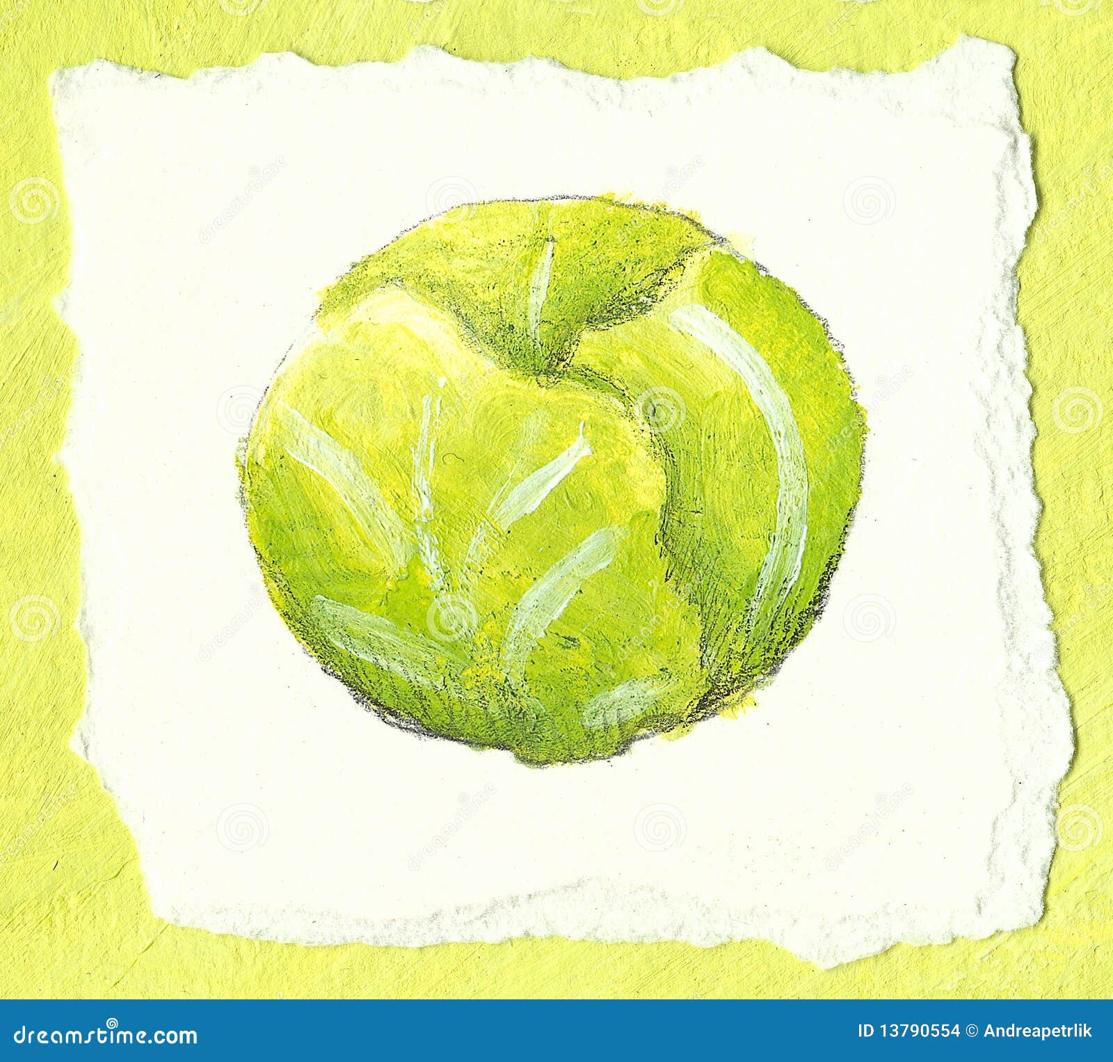 Green Cabbage on the Green Background Stock Illustration - Illustration ...