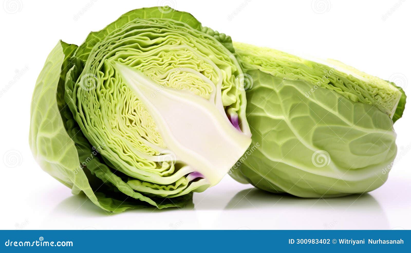 Green Cabbage Half Isolated on White Background with Full Depth of ...