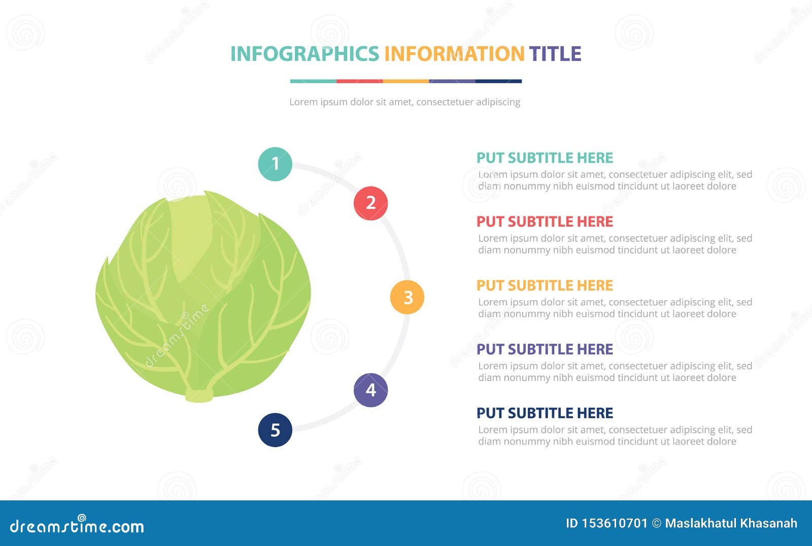 Green Cabbage Infographic Template Concept with Five Points List and ...