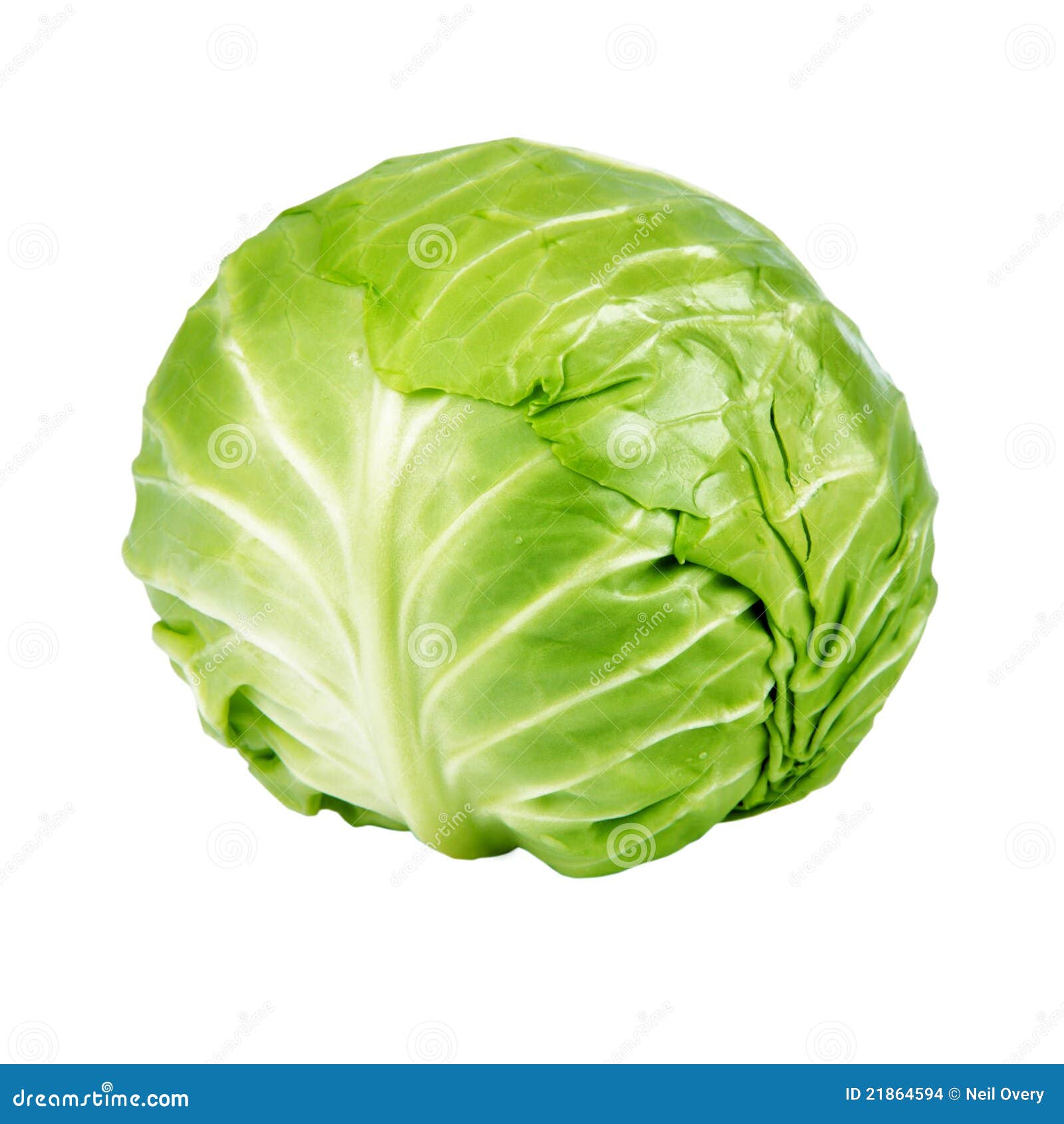Green Cabbage Isolated stock photo. Image of cutout, vegetable - 21864594