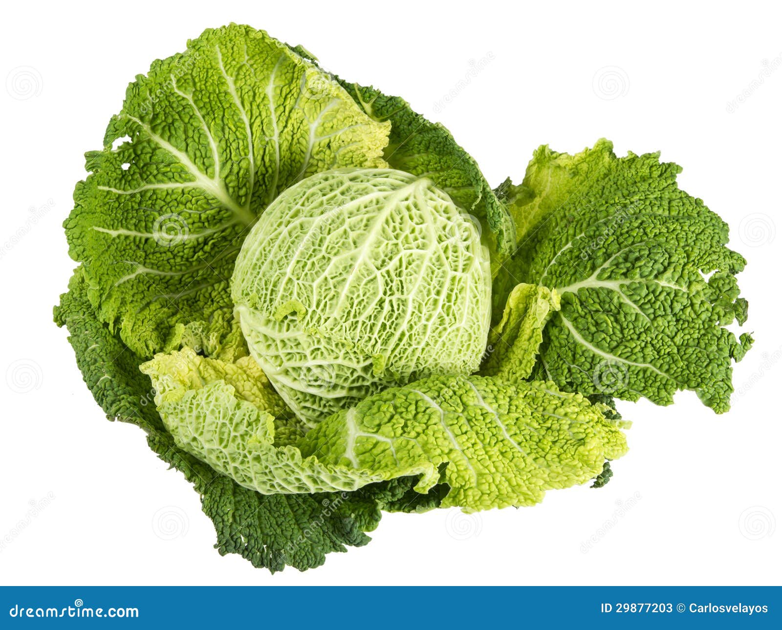 Green Cabbage Isolated on White Stock Image - Image of vegetarian ...