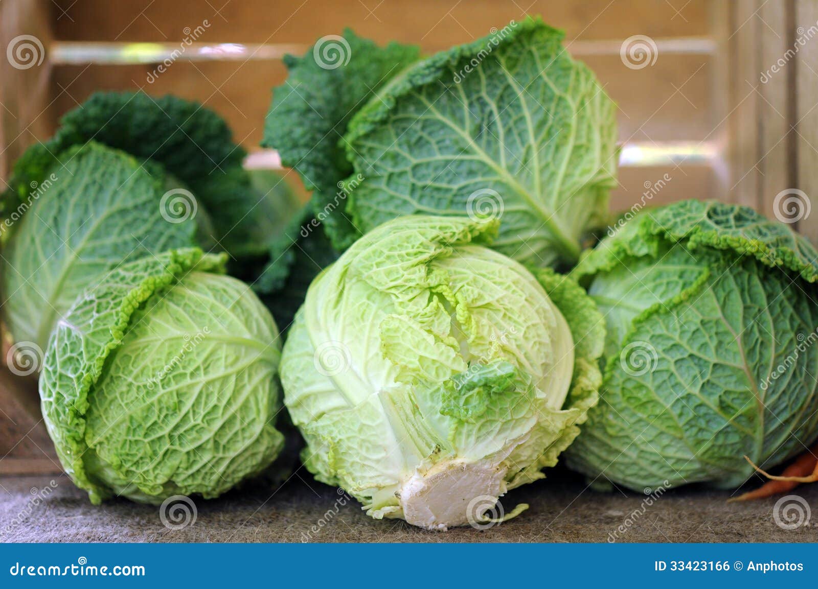 Green cabbage stock photo. Image of natural, healthy - 33423166
