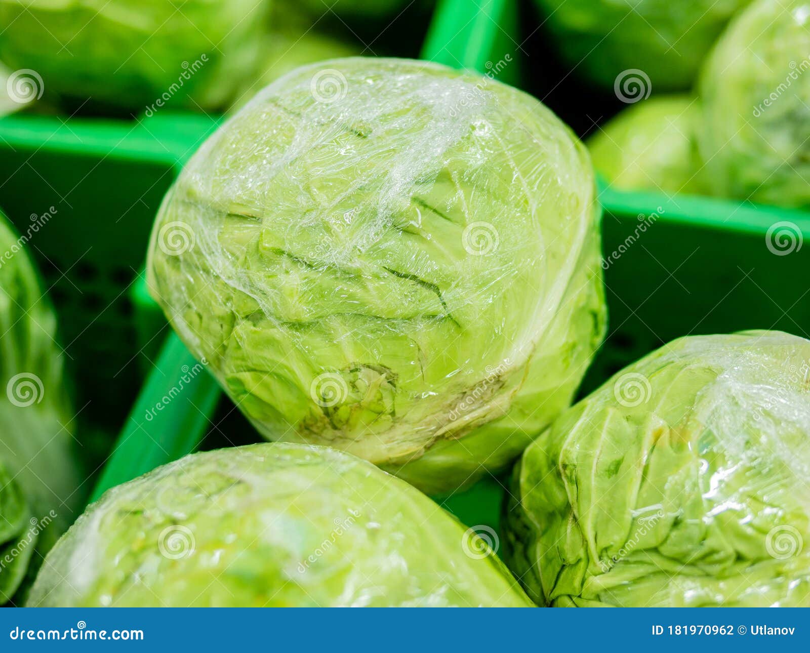 Green Cabbage in Plastic Boxes on the Counter of the Supermarket. Stock ...