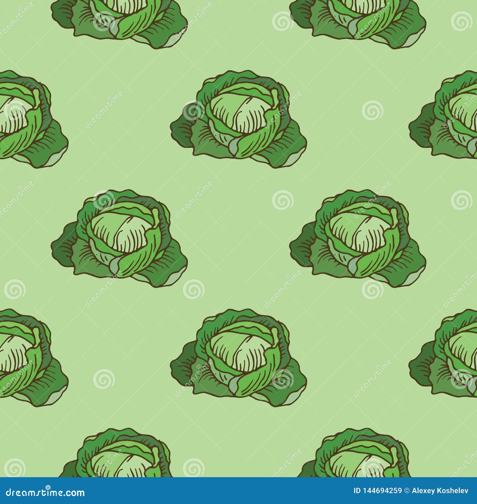 Green Cabbage Seamless Pattern Stock Vector - Illustration of plant ...