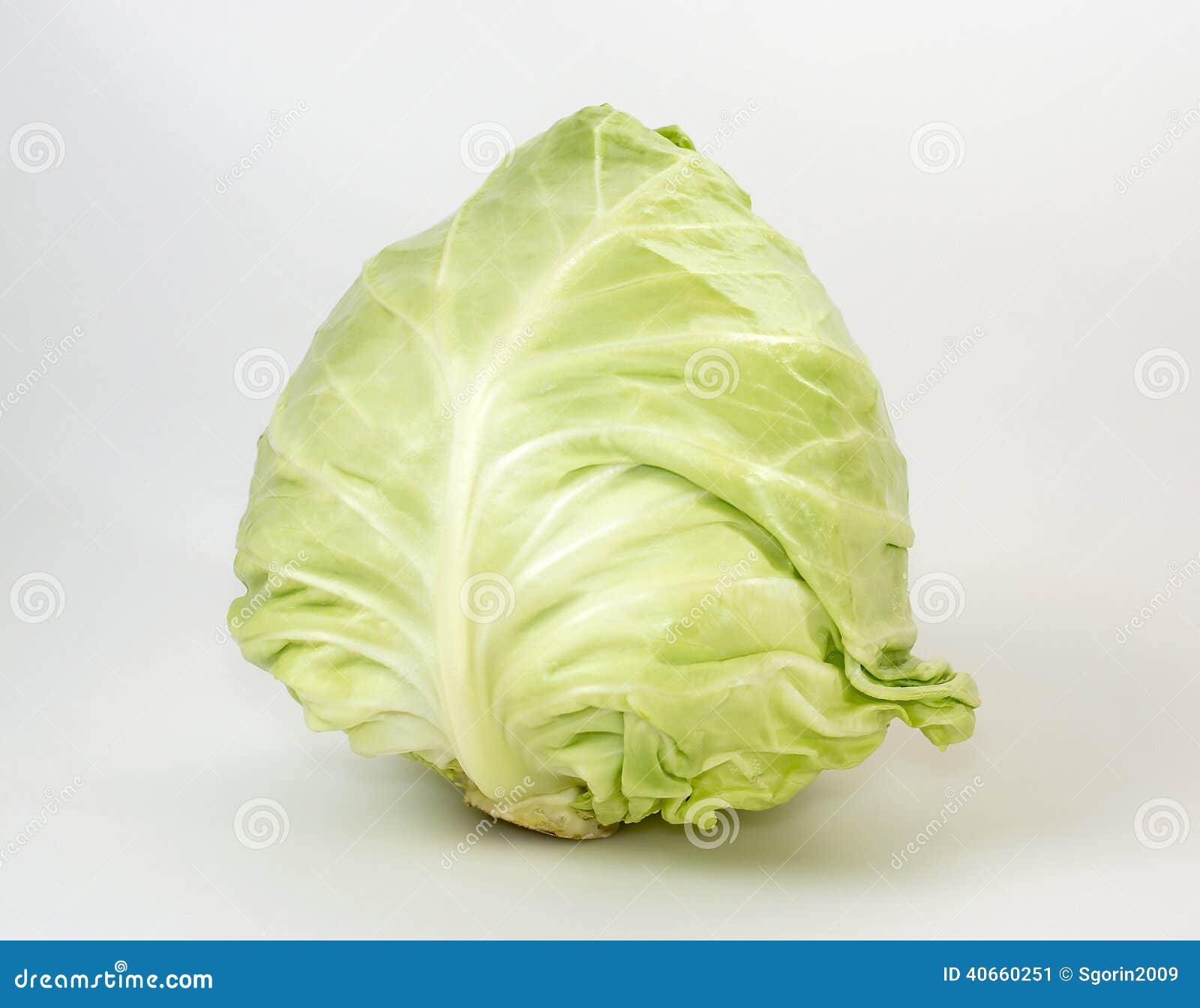 Green cabbage stock image. Image of healthy, vegetables - 40660251