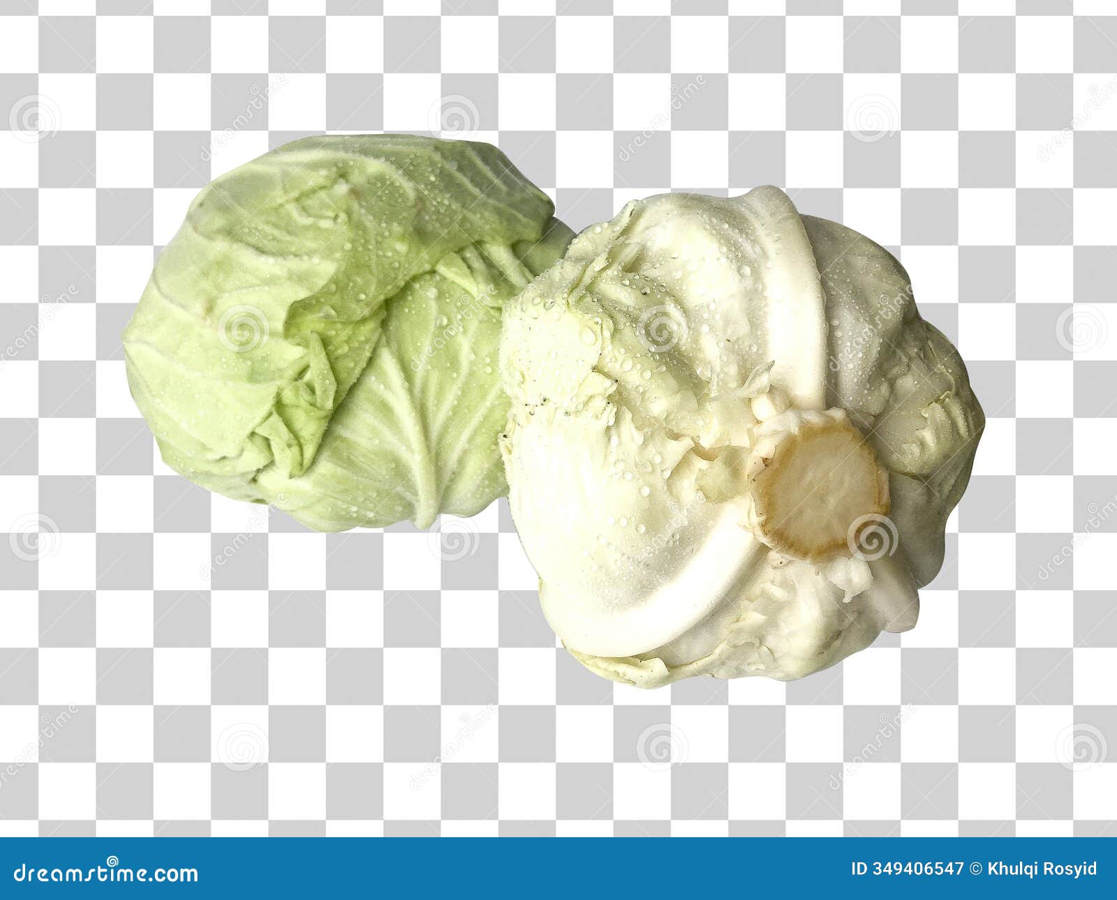 Green Cabbage on Transparent Background Stock Image - Image of salad ...