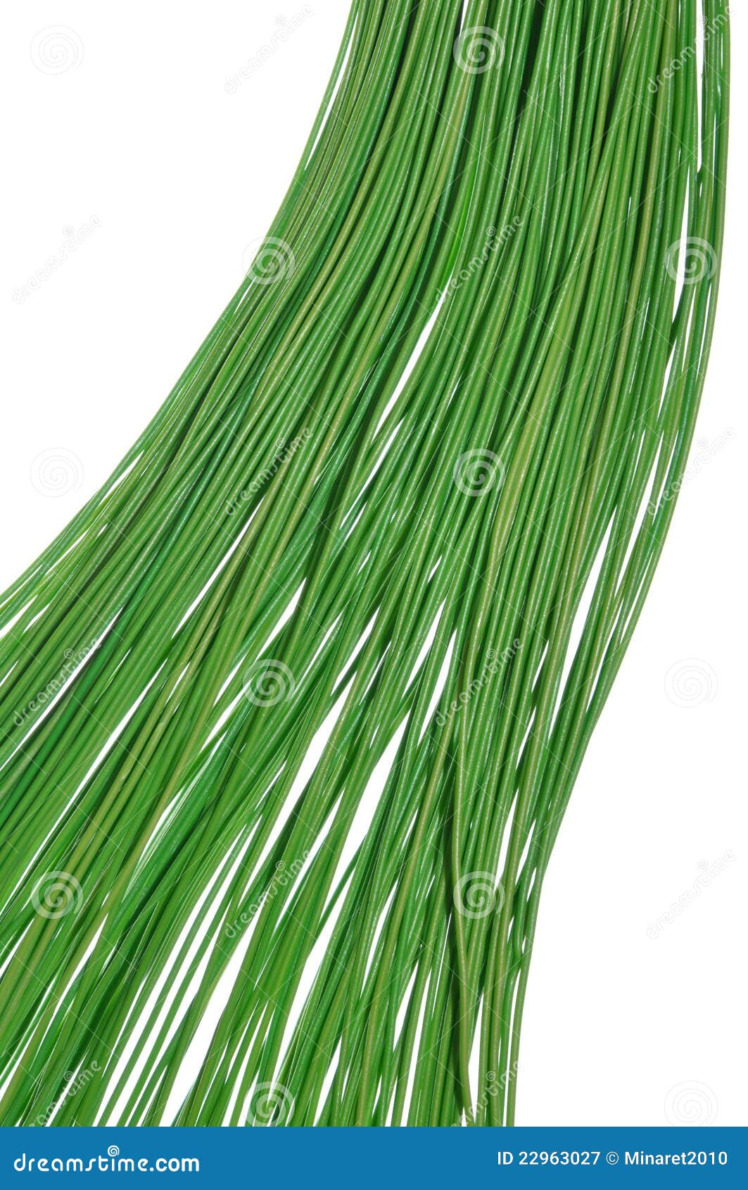 Green cables stock image. Image of connection, connect - 22963027