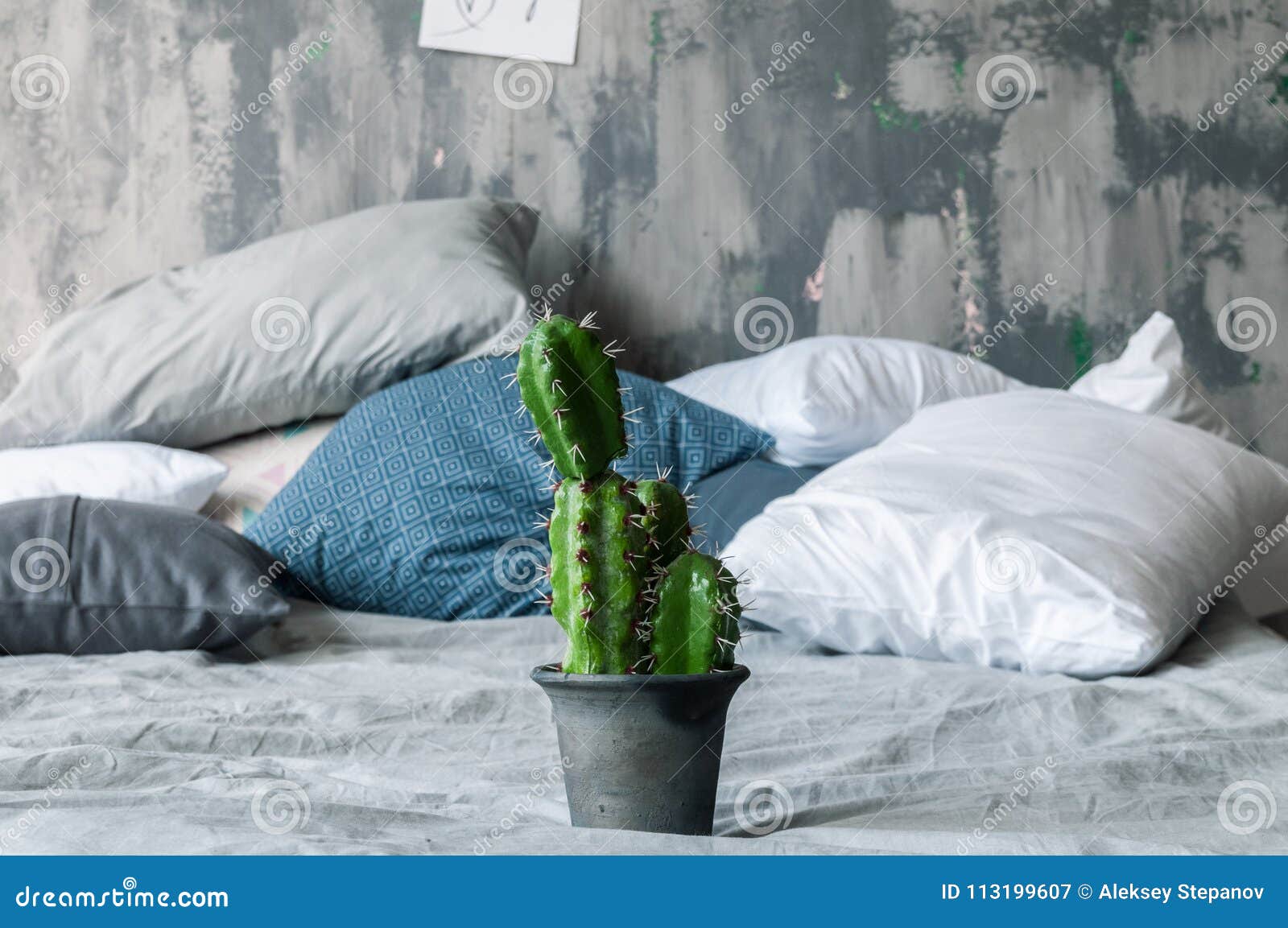 Green Cactus on the Bed in Loft Room Stock Image - Image of loft ...