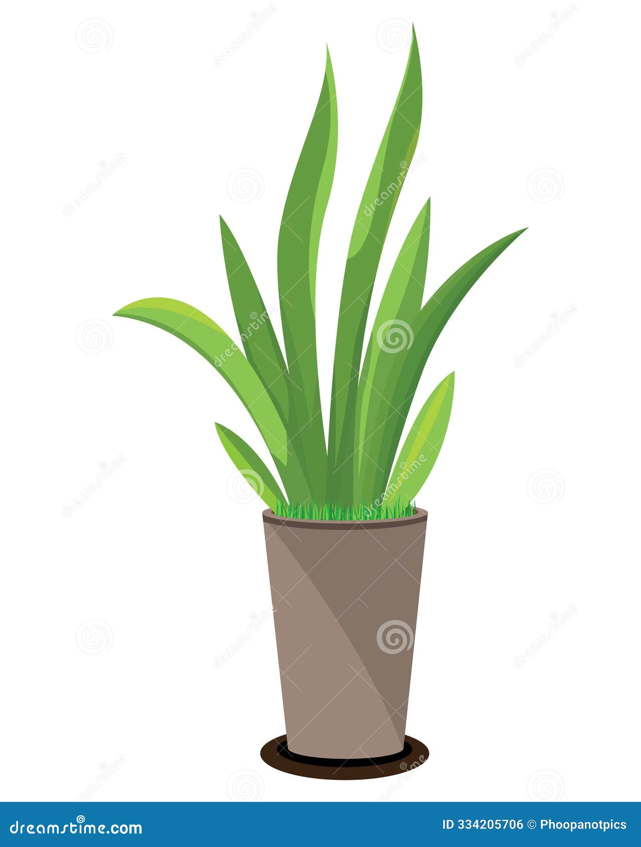 Green Cactus Plant in Brawn Pot Vector Design Stock Vector ...
