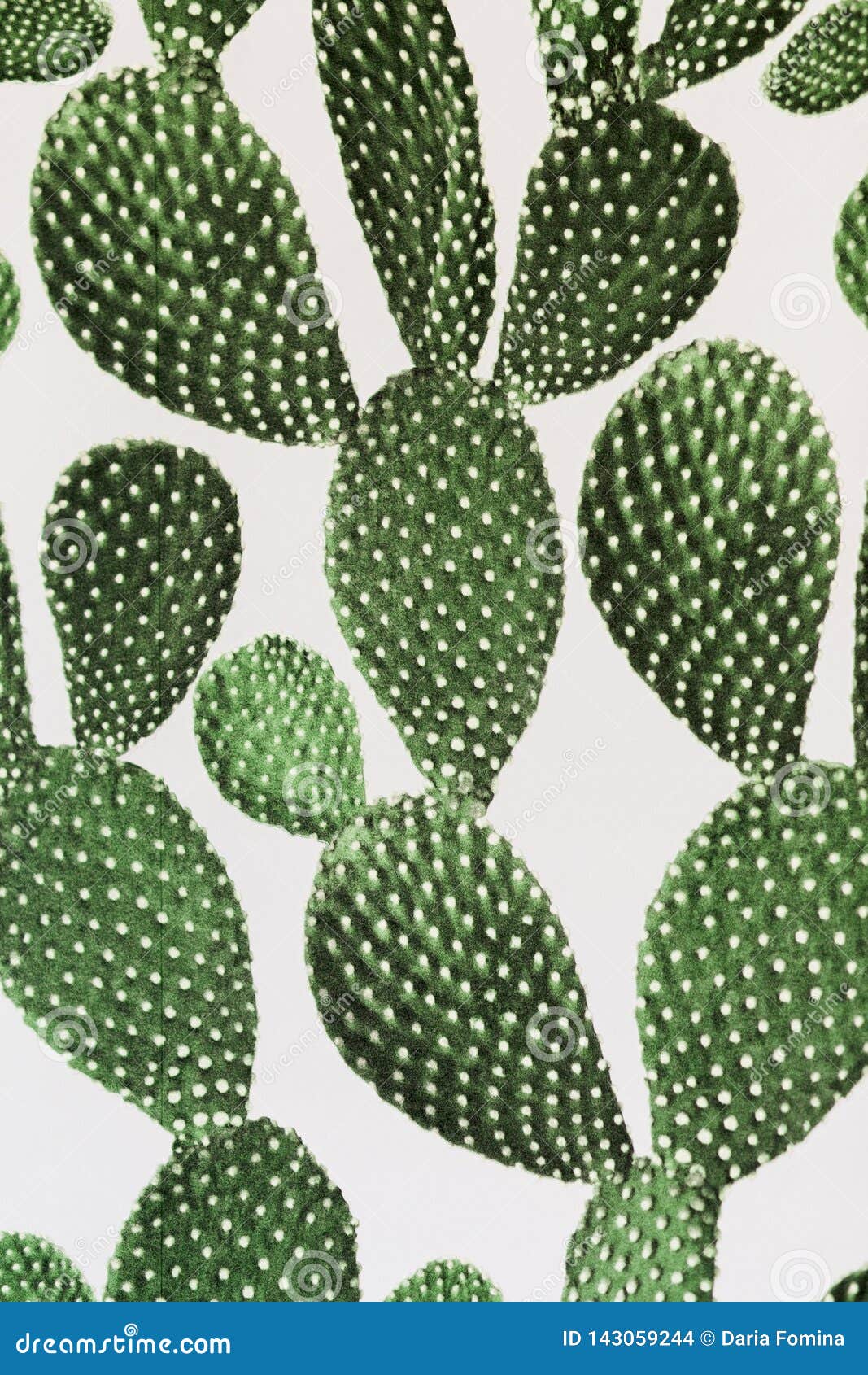 Green Cactus Surface. Use for Texture or Background Stock Photo - Image ...