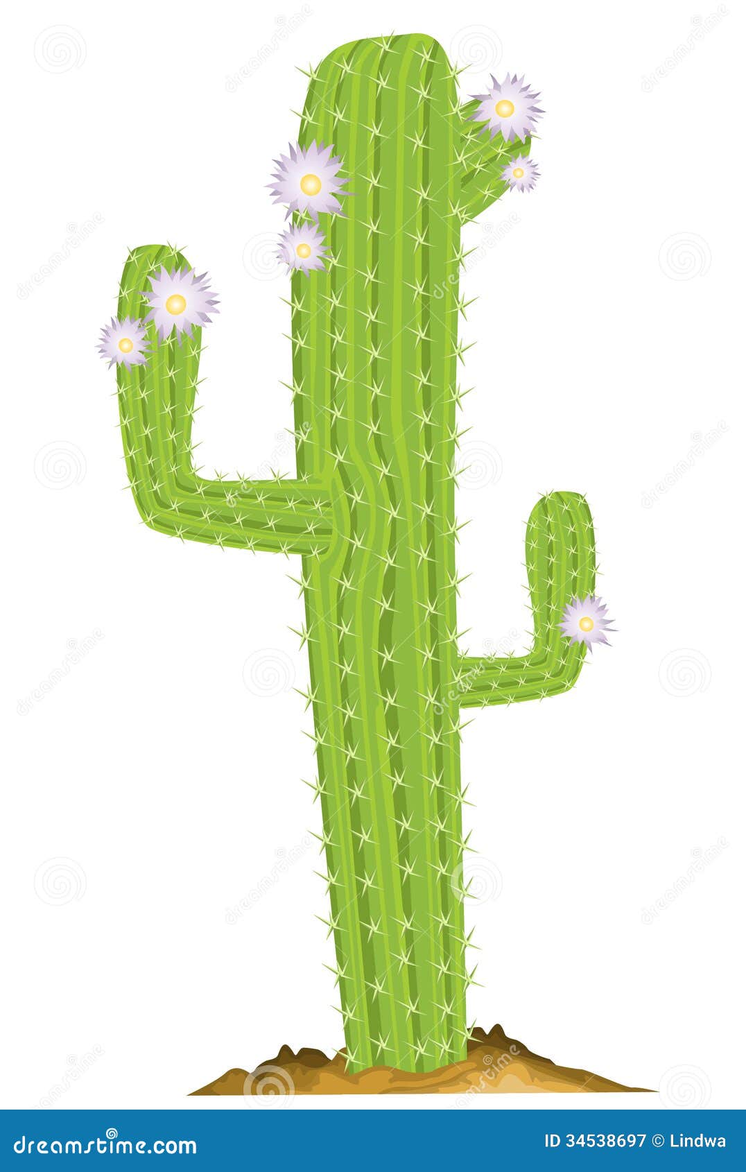 Green cactus stock vector. Illustration of isolated, color - 34538697