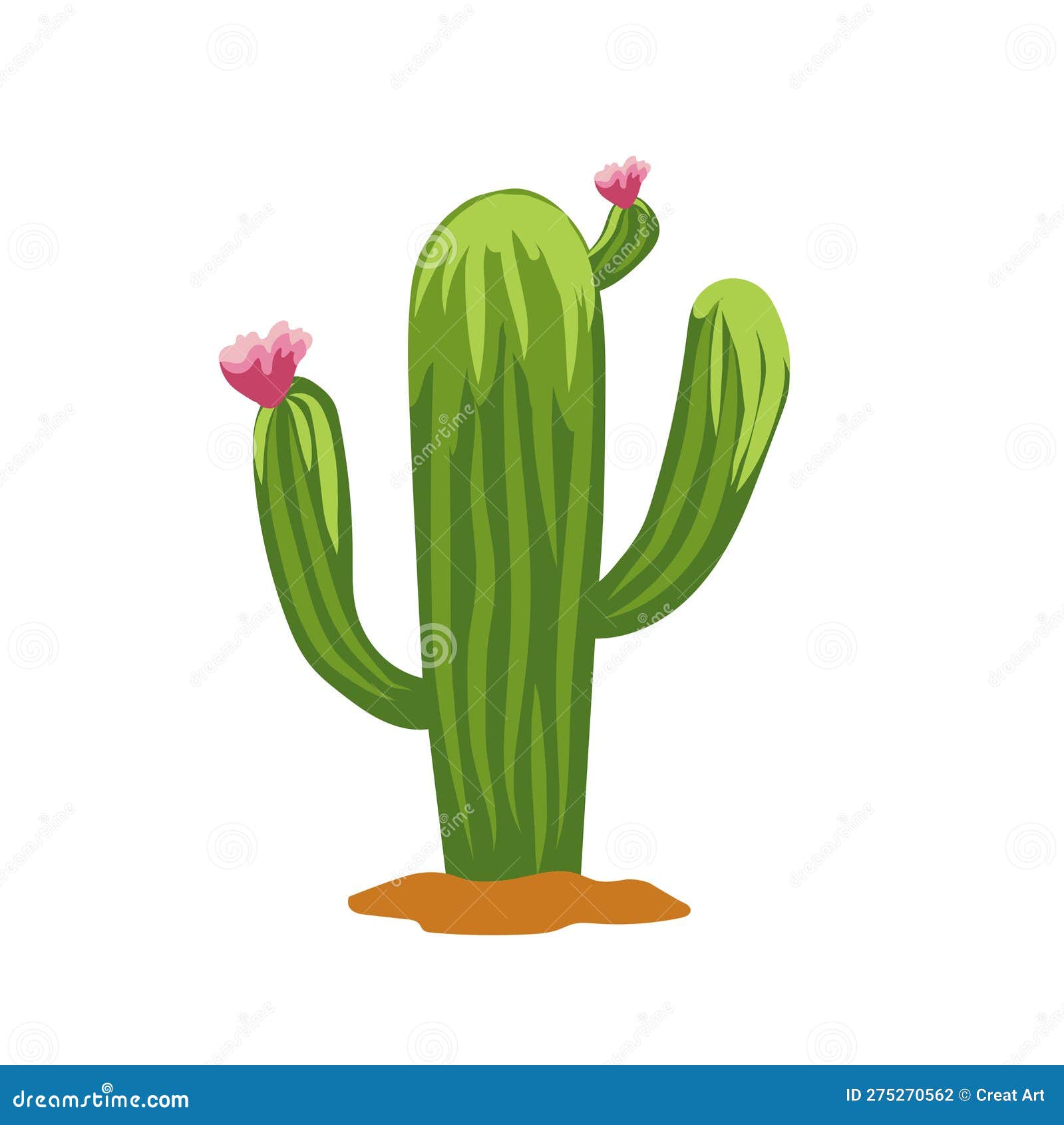 Green Cactus Vector Illustration Stock Vector - Illustration of plant ...