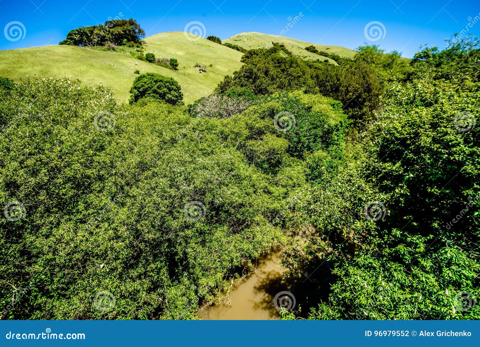 Green California Hills and Mountains in Spring Stock Photo - Image of ...