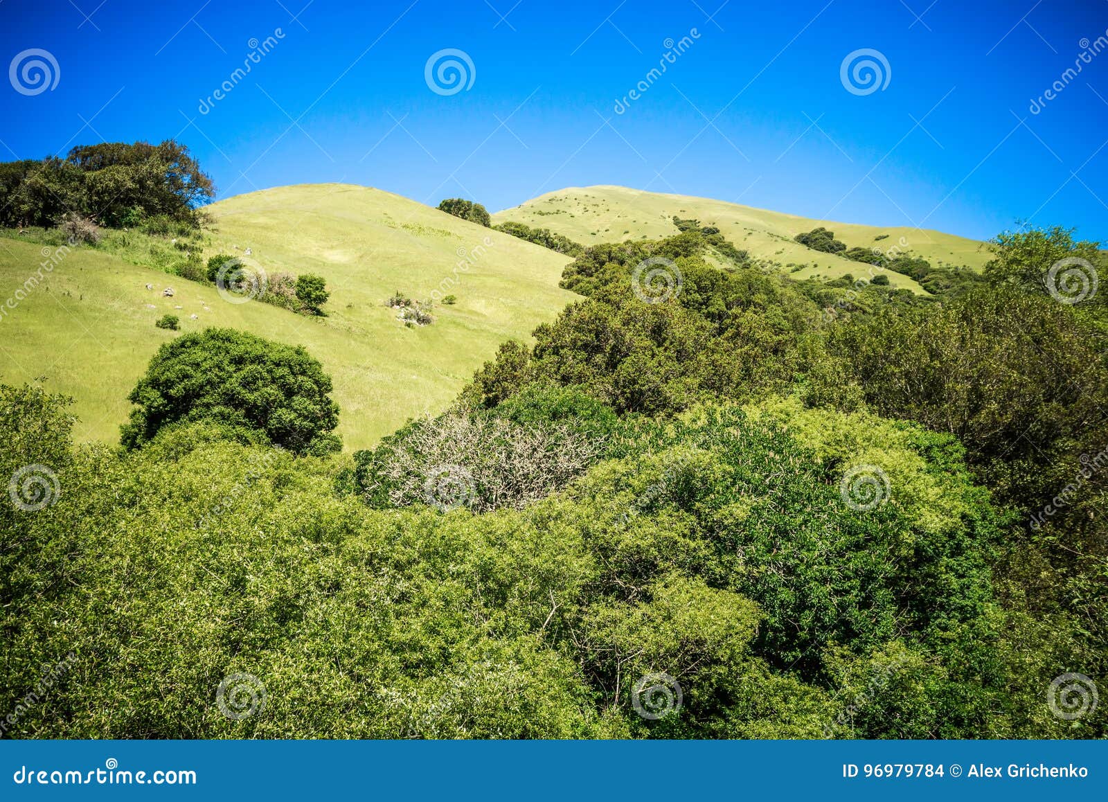 Green California Hills and Mountains in Spring Stock Photo - Image of ...