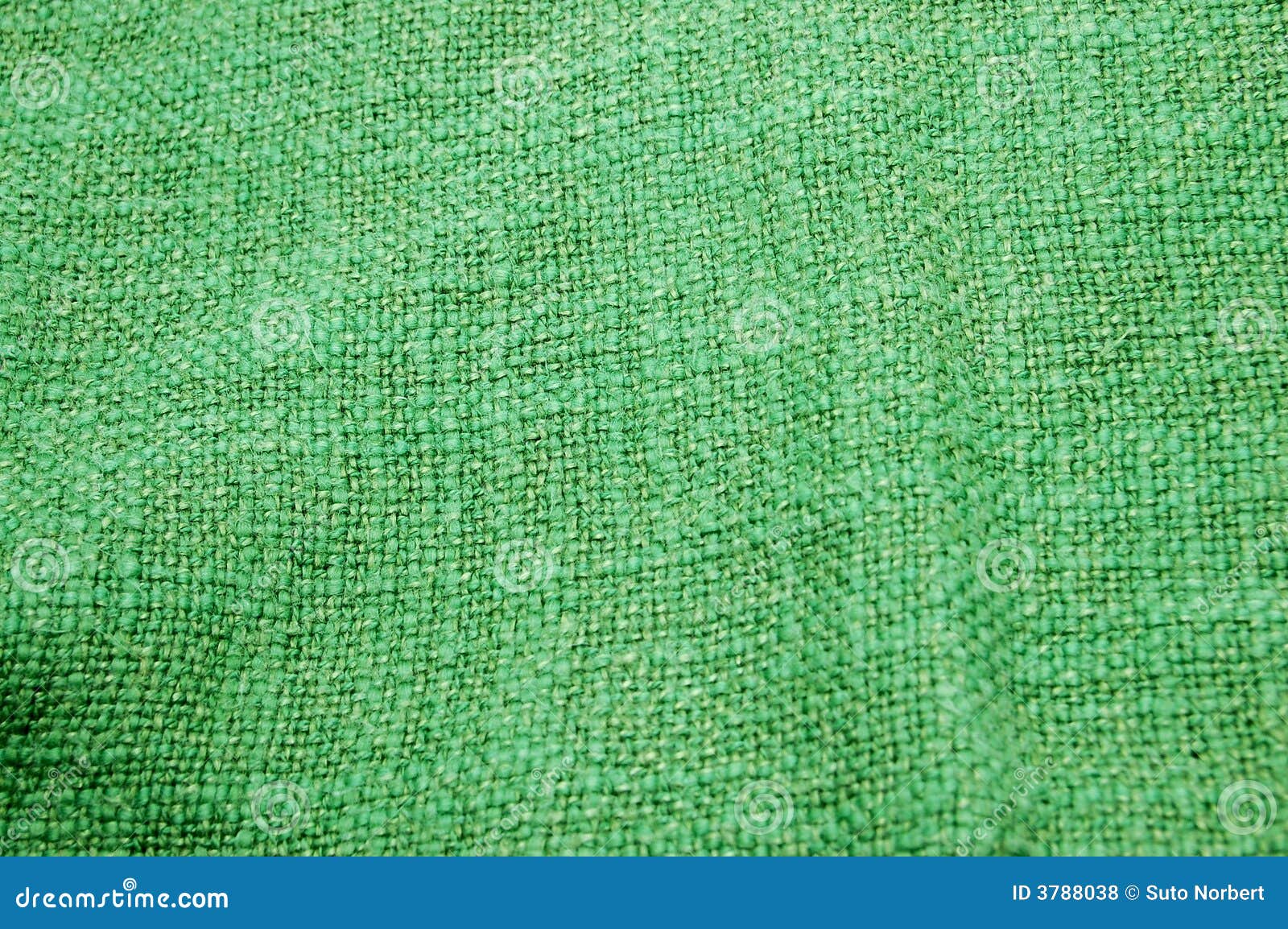 Green canvas texture stock photo. Image of fabric, mapping - 3788038