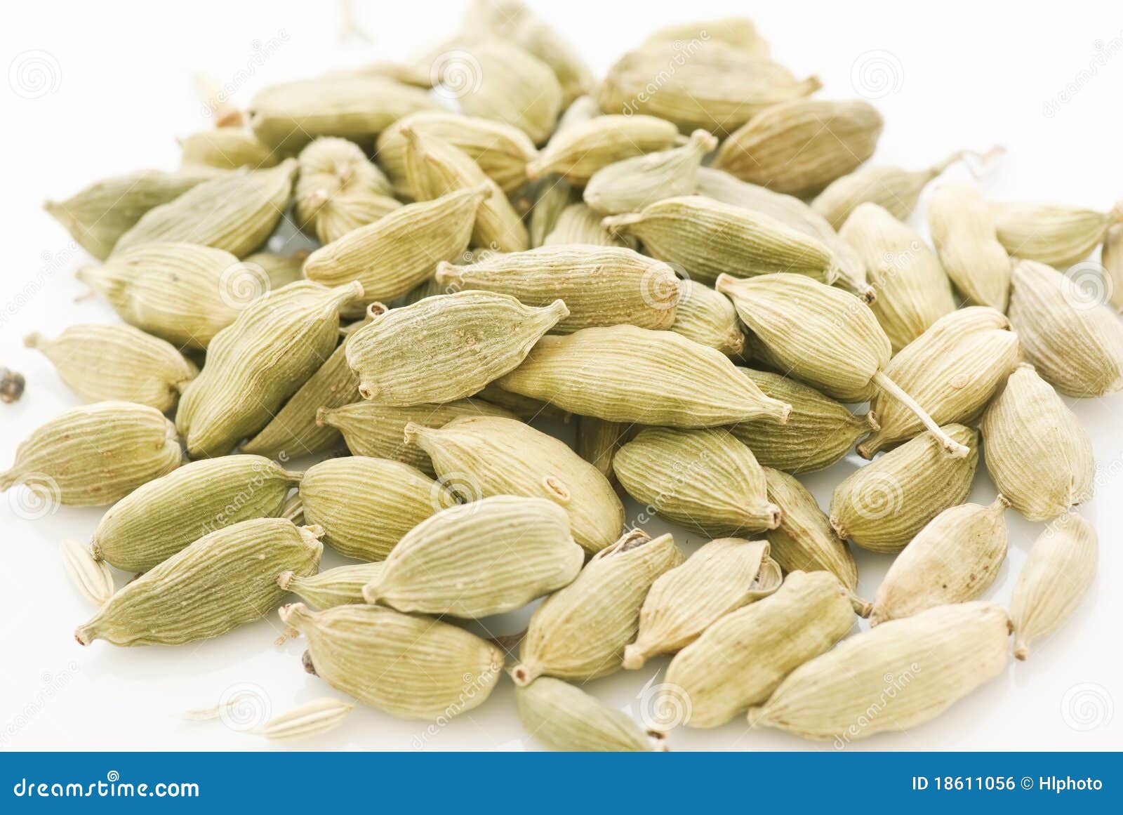 Green Cardamom stock photo. Image of cook, season, nature - 18611056