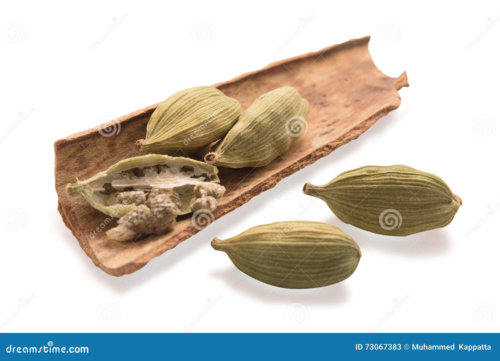 Green Cardamom in Cinnamon Sticks Isolated on Background. Stock Image ...