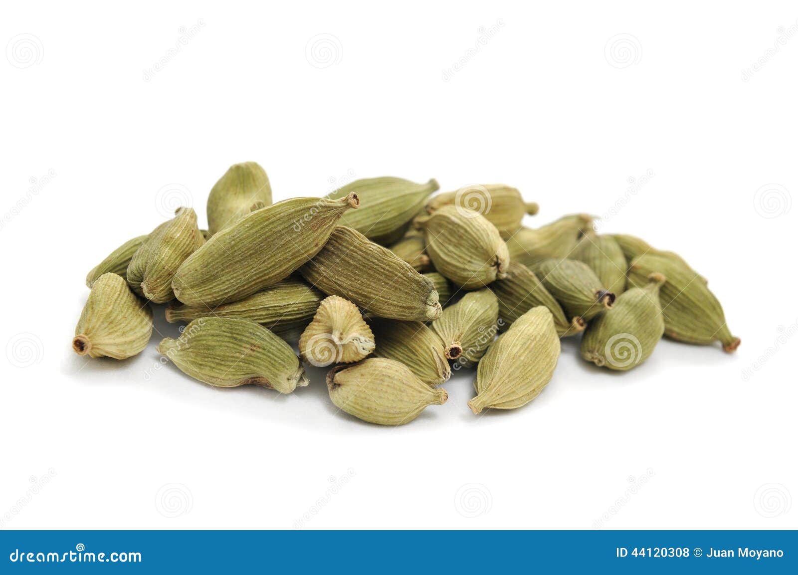 Green cardamom stock photo. Image of seasoning, mild - 44120308