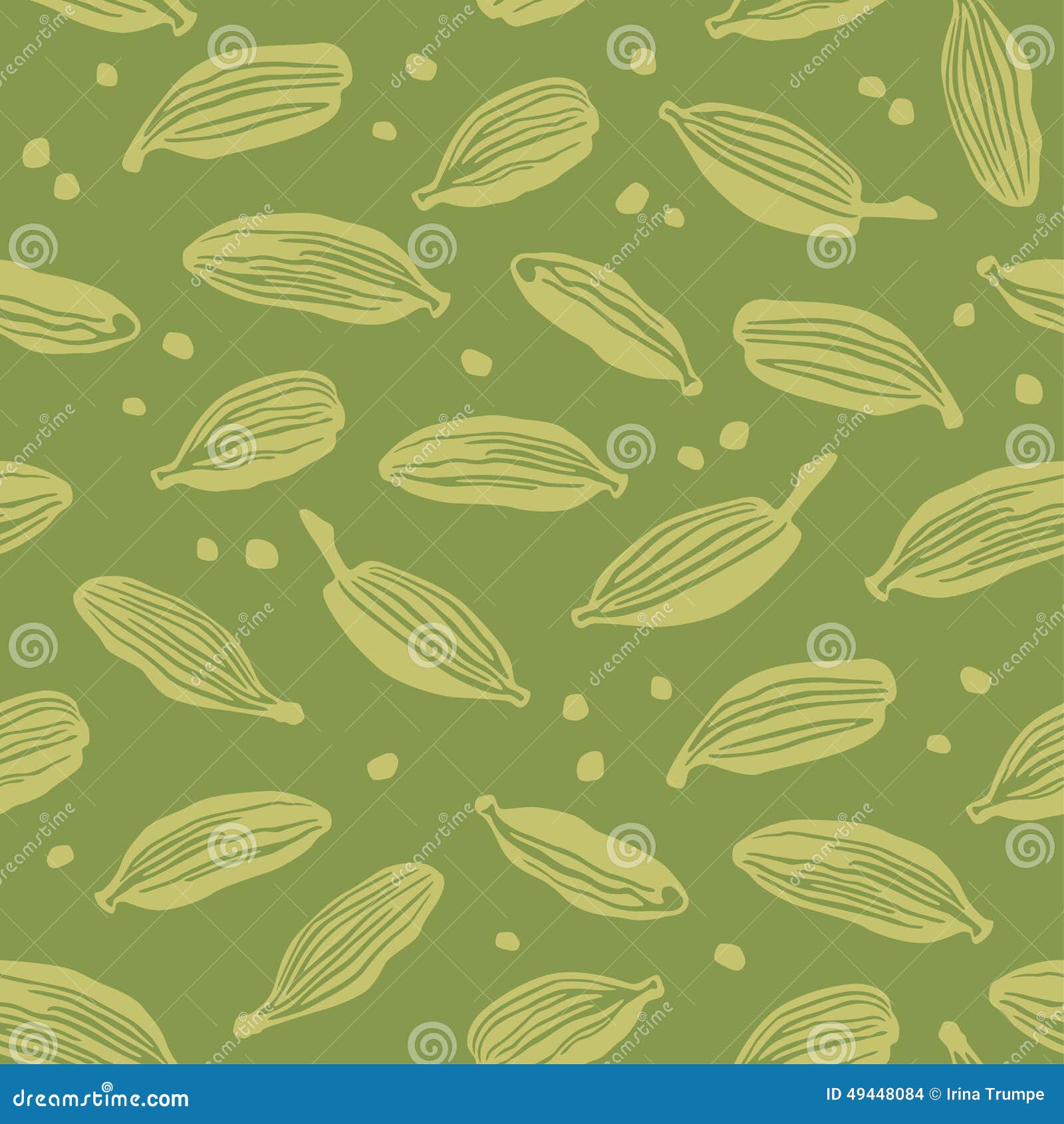 Green cardamom stock vector. Illustration of green, natural - 49448084