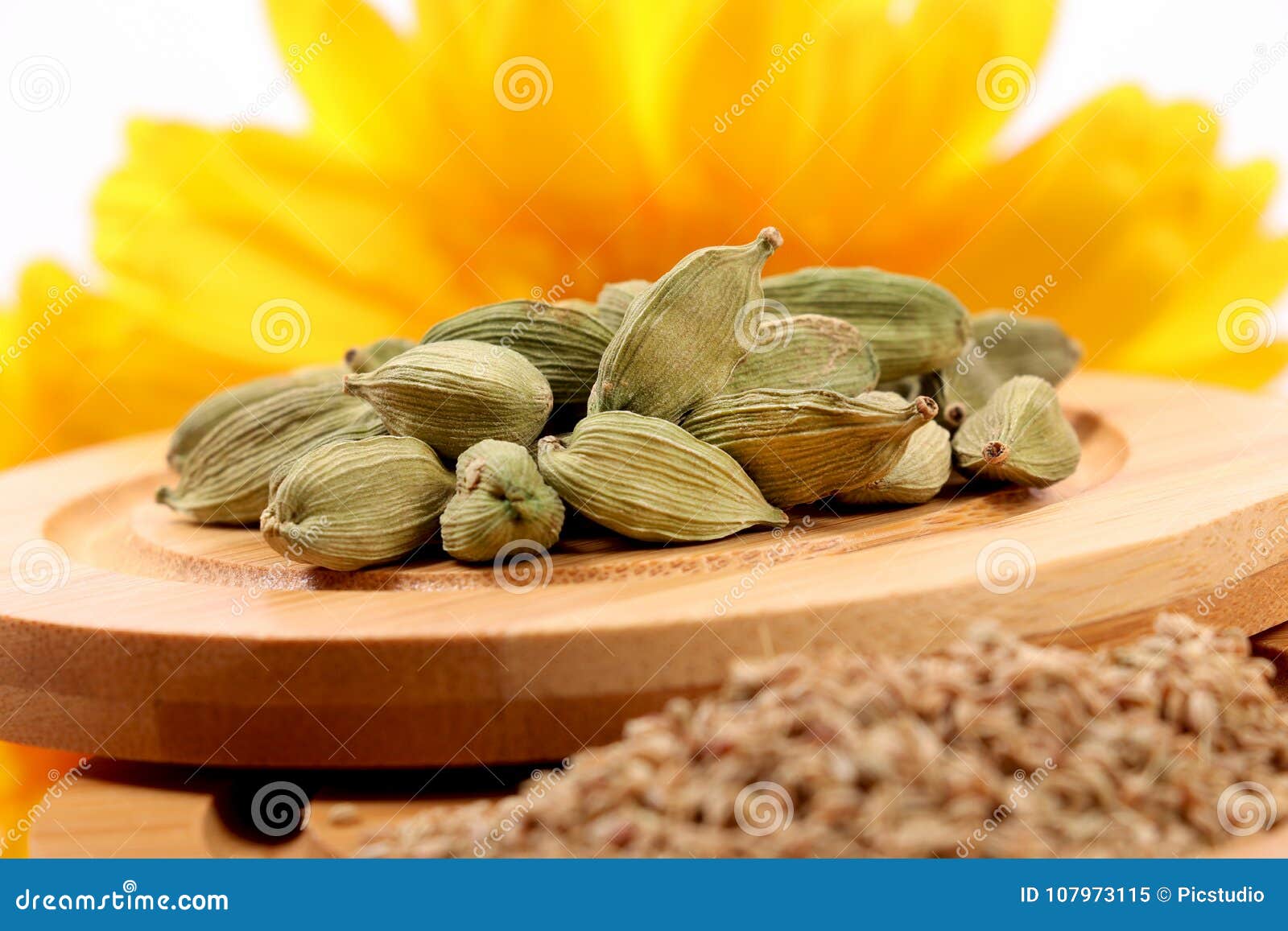 Green cardamon stock image. Image of pods, detailed - 107973115