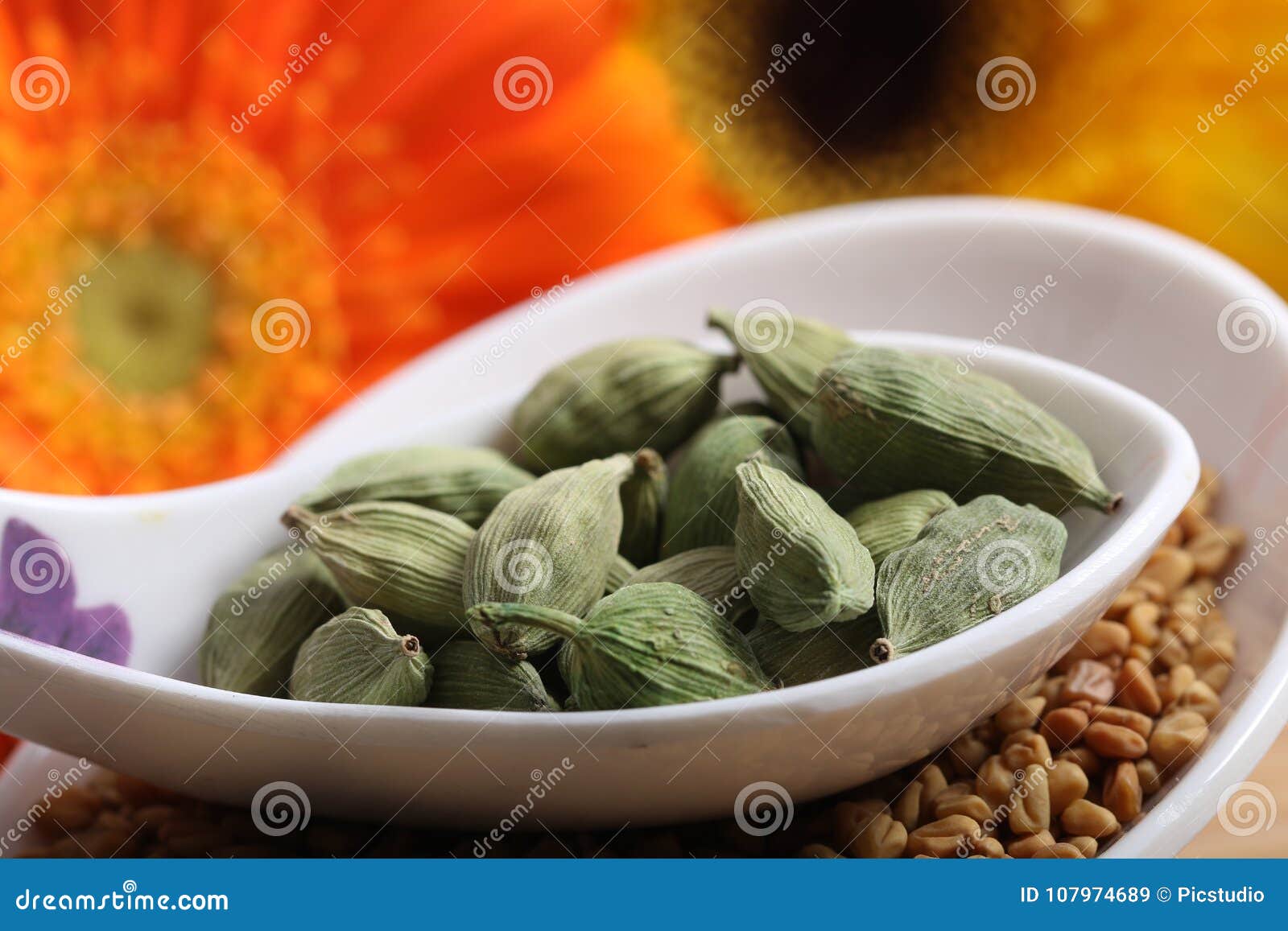 Green cardamon stock image. Image of beautiful, nature - 107974689