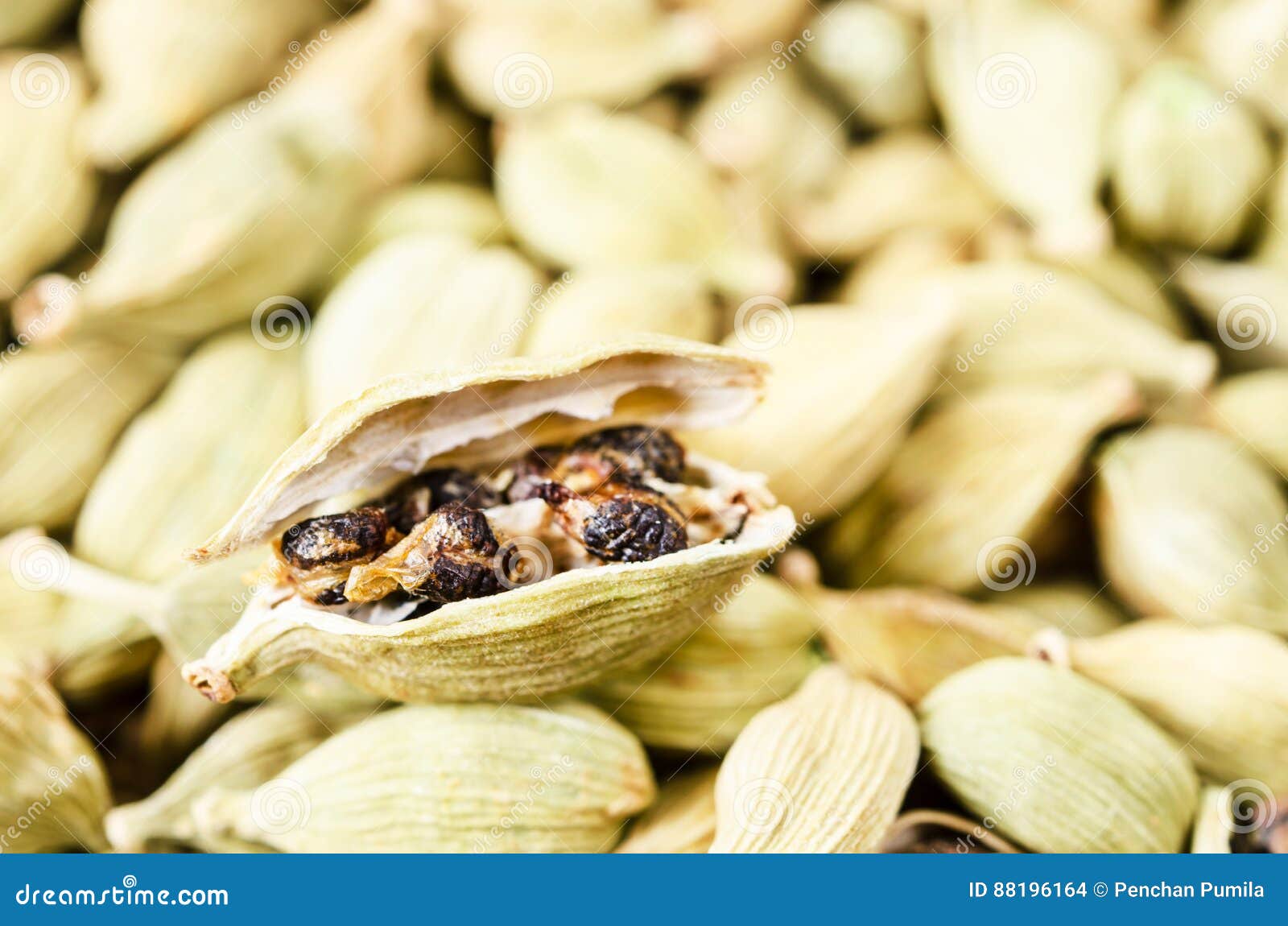 Green cardamon stock photo. Image of cardamon, herbal - 88196164