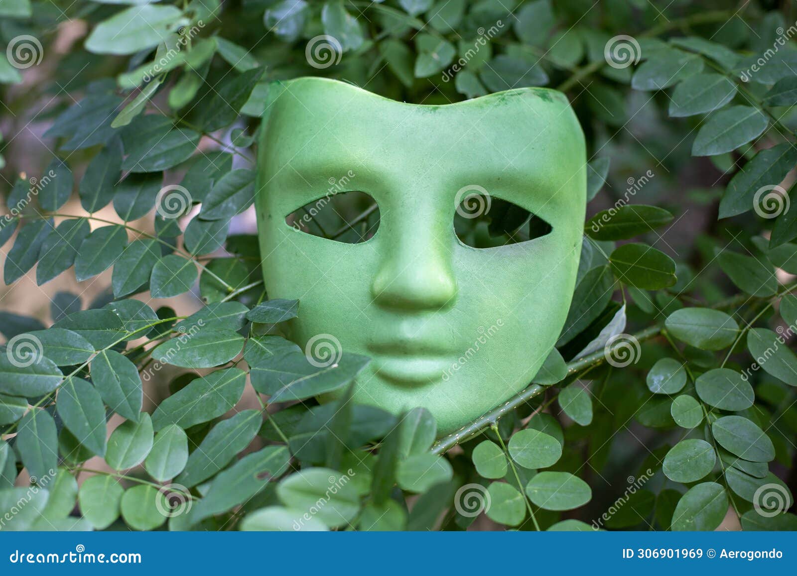 Green Carnival Mask Hidden in Tree Leaves Stock Image - Image of ...