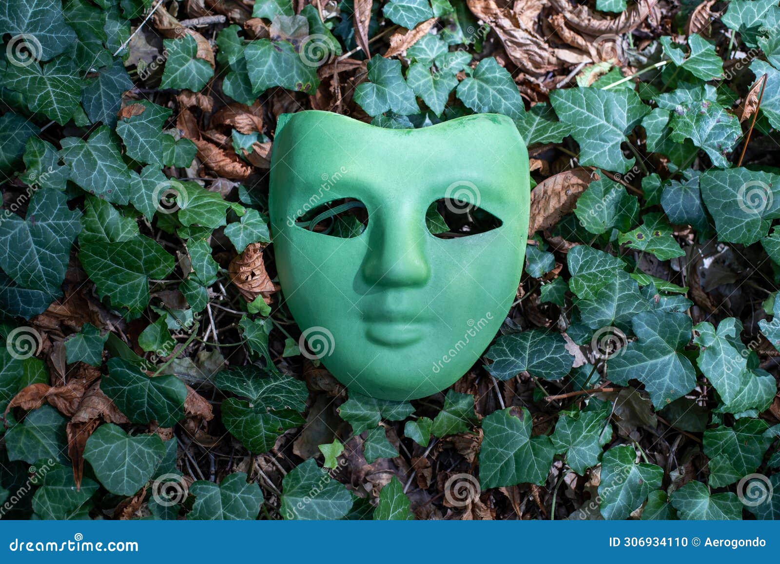 Green Carnival Mask Hidden in Tree Leaves Stock Photo - Image of ...