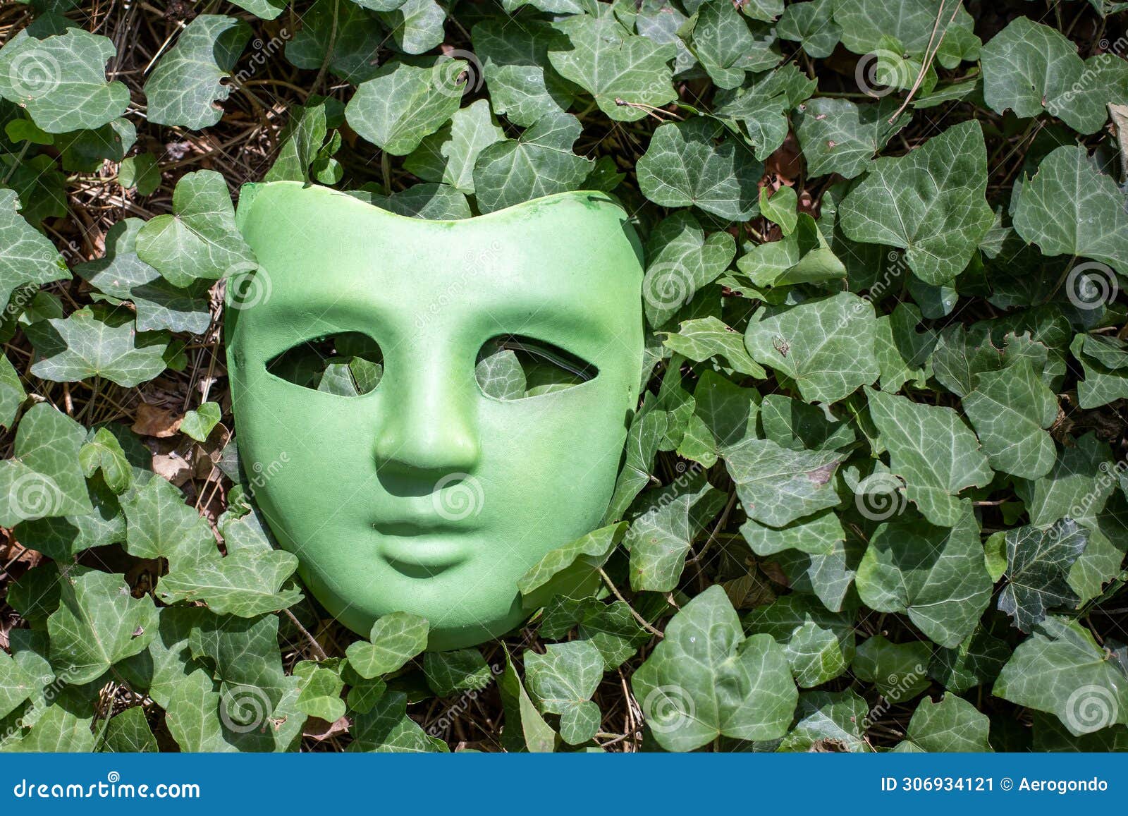 Green Carnival Mask Hidden in Tree Leaves Stock Image - Image of hiding ...